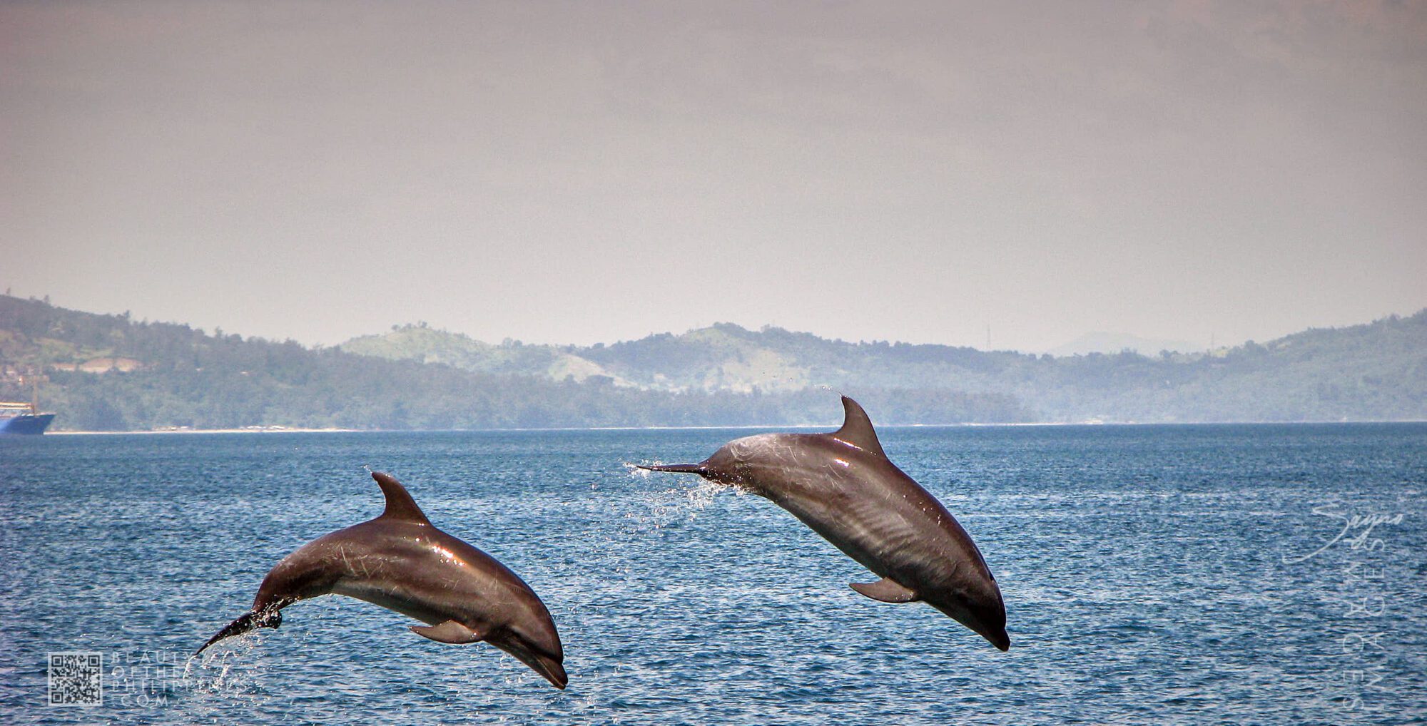 Ocean Adventure: From Lagoon Shows to Expanded Horizons | The Beauty of ...