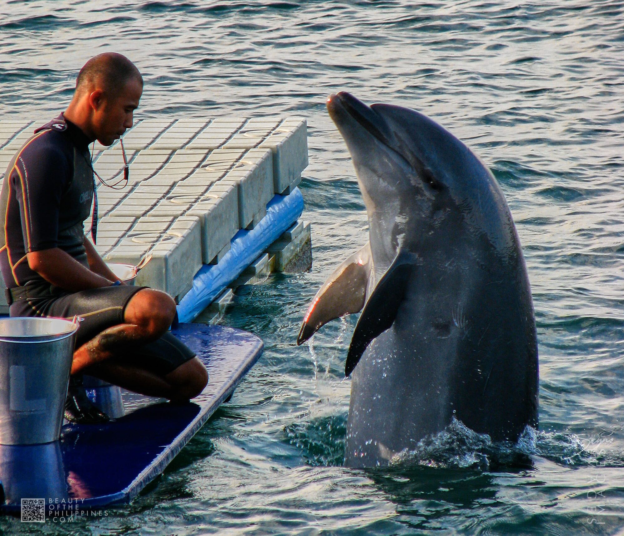 Ocean Adventure: From Lagoon Shows to Expanded Horizons | The Beauty of ...