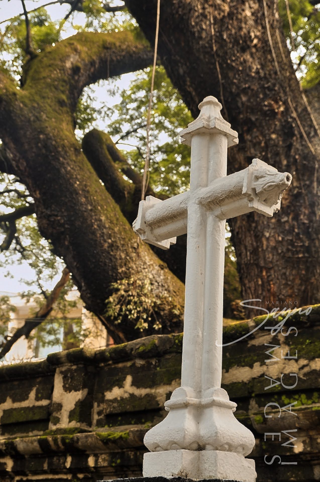 Paco Park: Manila’s Circular Sanctuary of History and Quiet Reflection ...