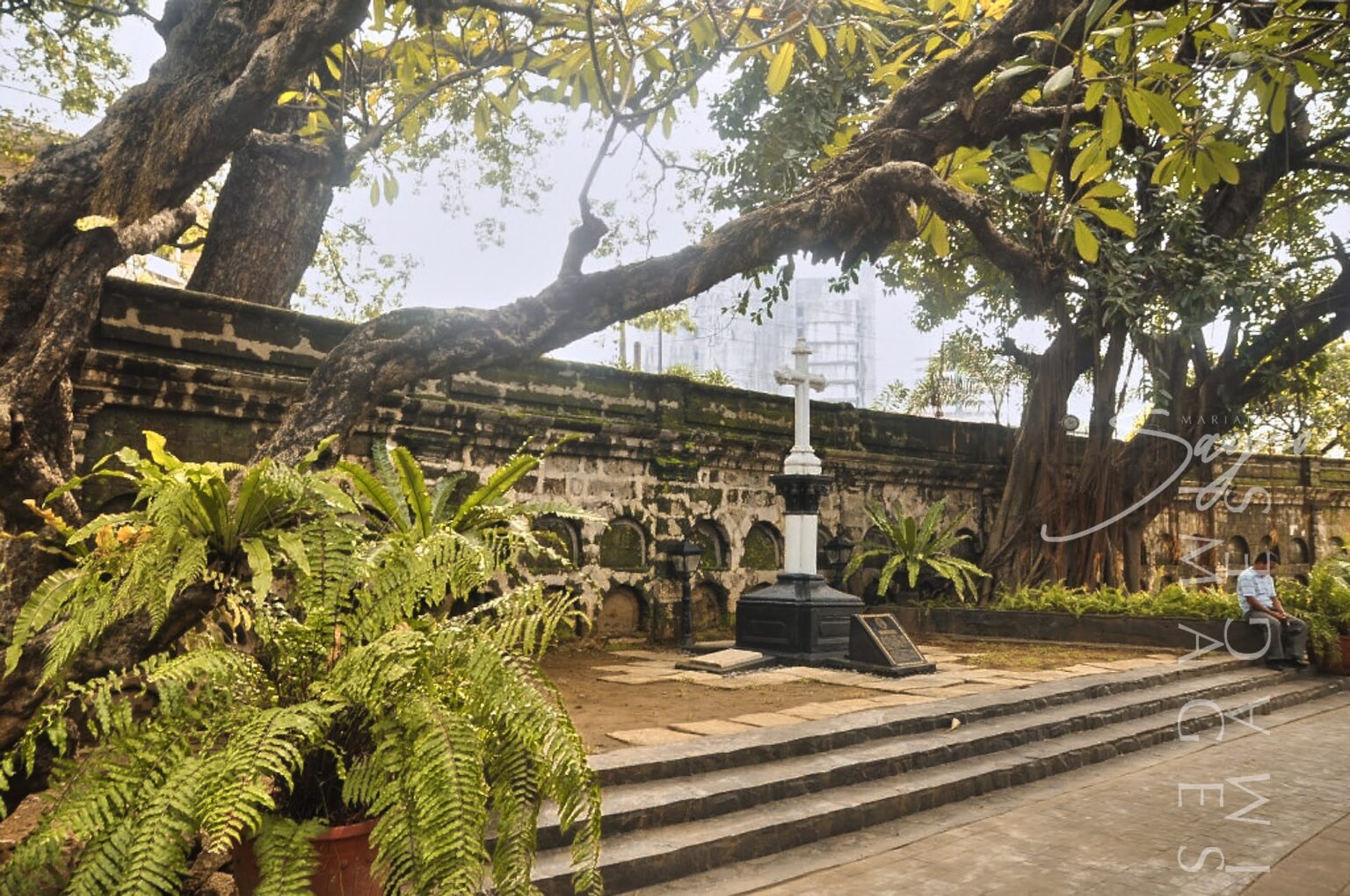 Paco Park: Manila’s Circular Sanctuary of History and Quiet Reflection ...