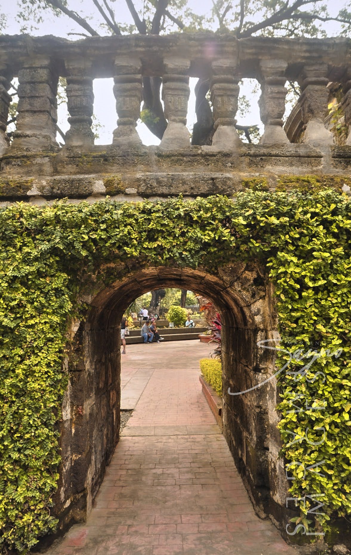 Paco Park: A Peaceful Retreat Steeped in History and Timeless Beauty ...