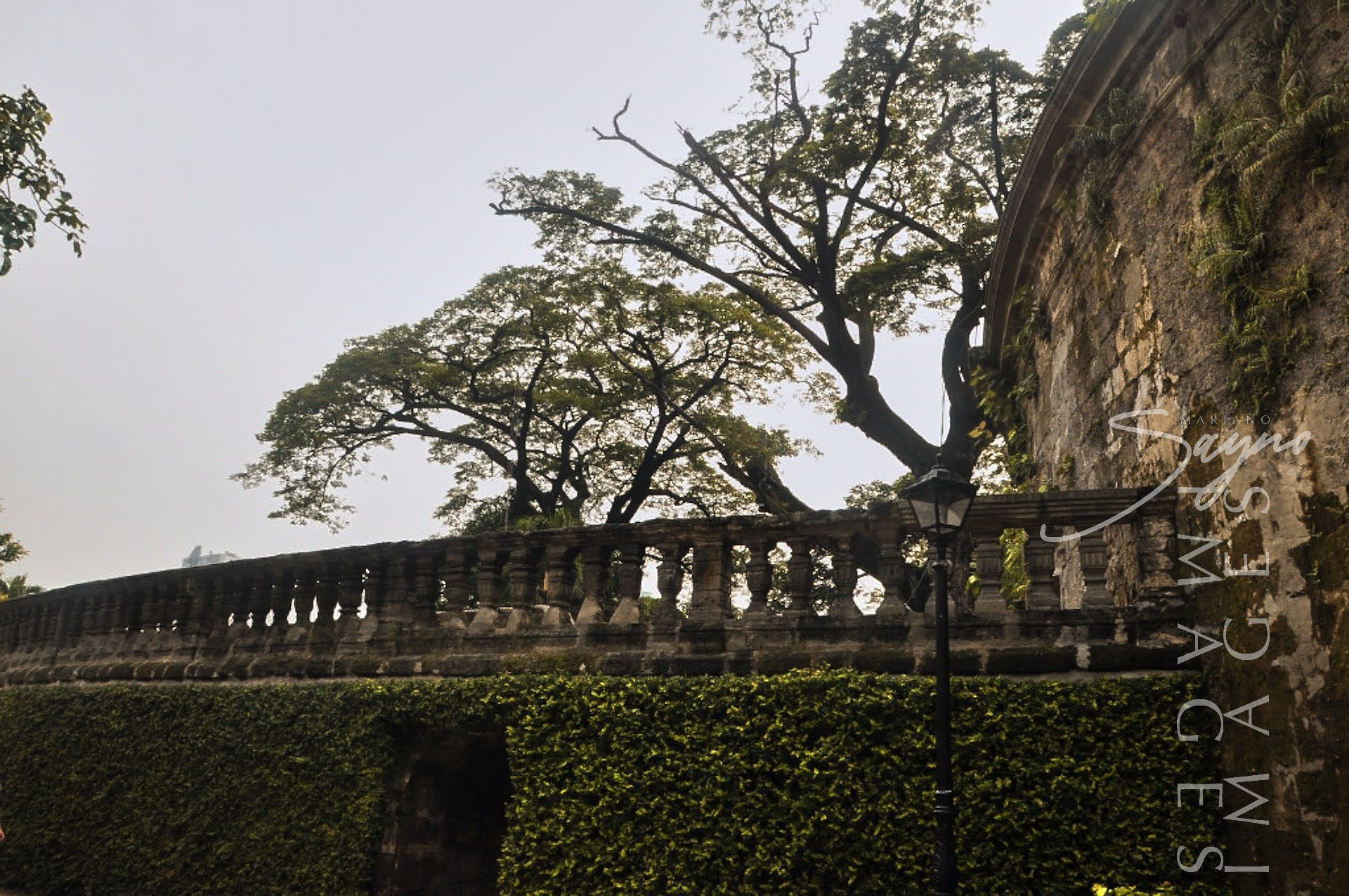 Paco Park: Manila’s Circular Sanctuary of History and Quiet Reflection ...