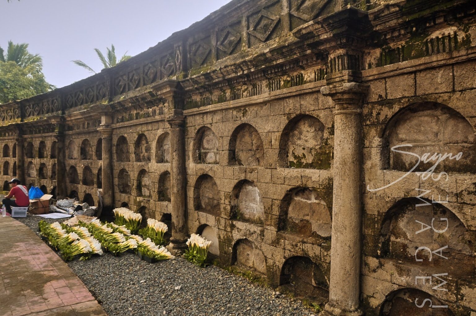 Paco Park: A Peaceful Retreat Steeped in History and Timeless Beauty ...