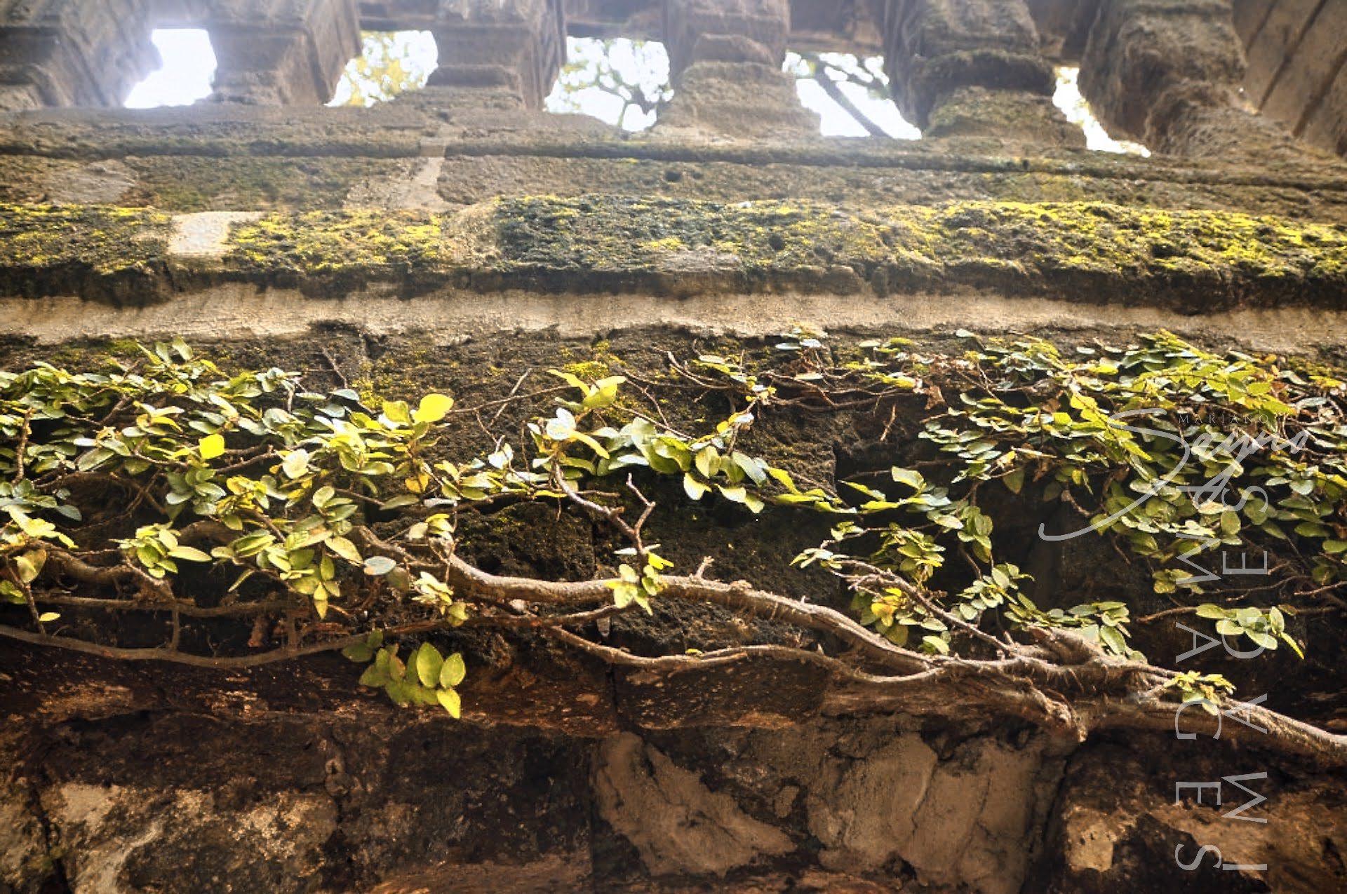 Paco Park: Manila’s Circular Sanctuary of History and Quiet Reflection ...