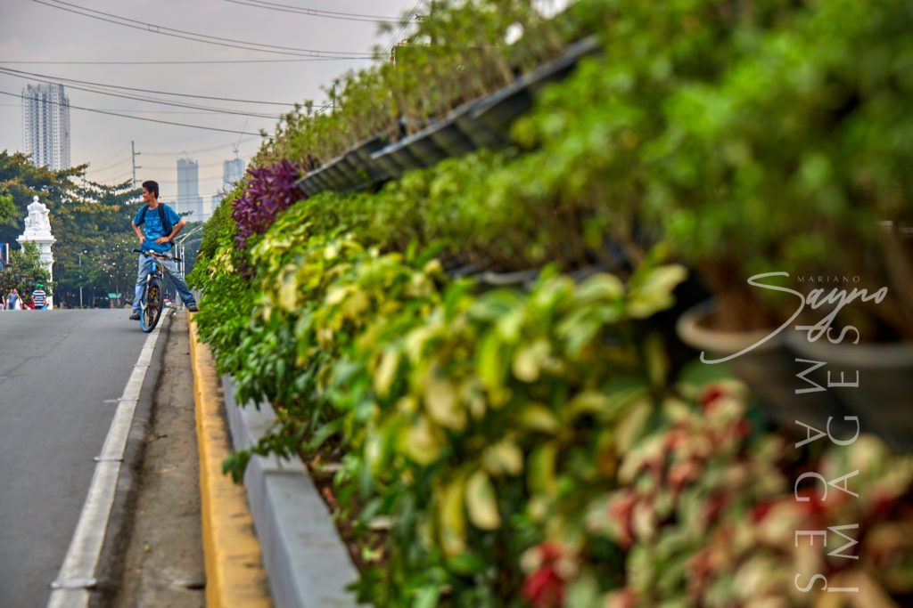 The Beauty of Jones Bridge | The Beauty of the Philippines