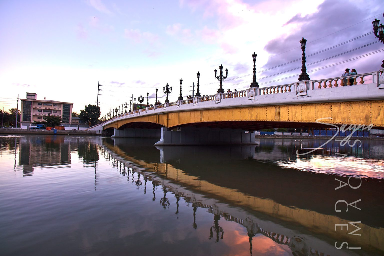 The Beauty of Jones Bridge: A Legacy of Resilience and Revival in ...
