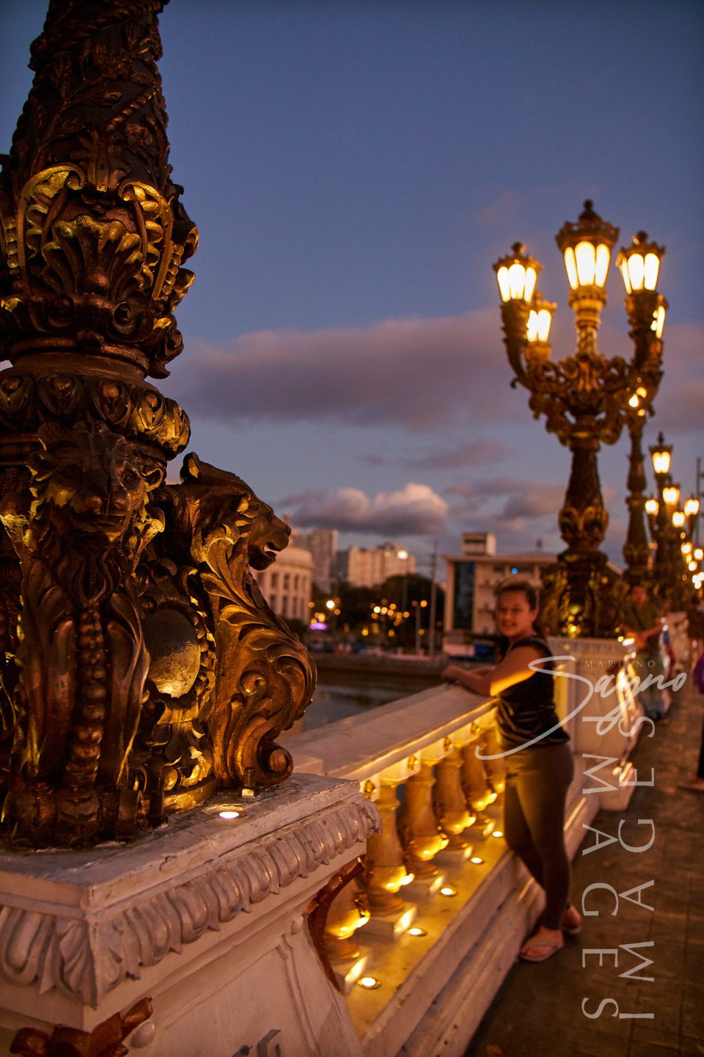 The Beauty of Jones Bridge: A Legacy of Resilience and Revival in ...