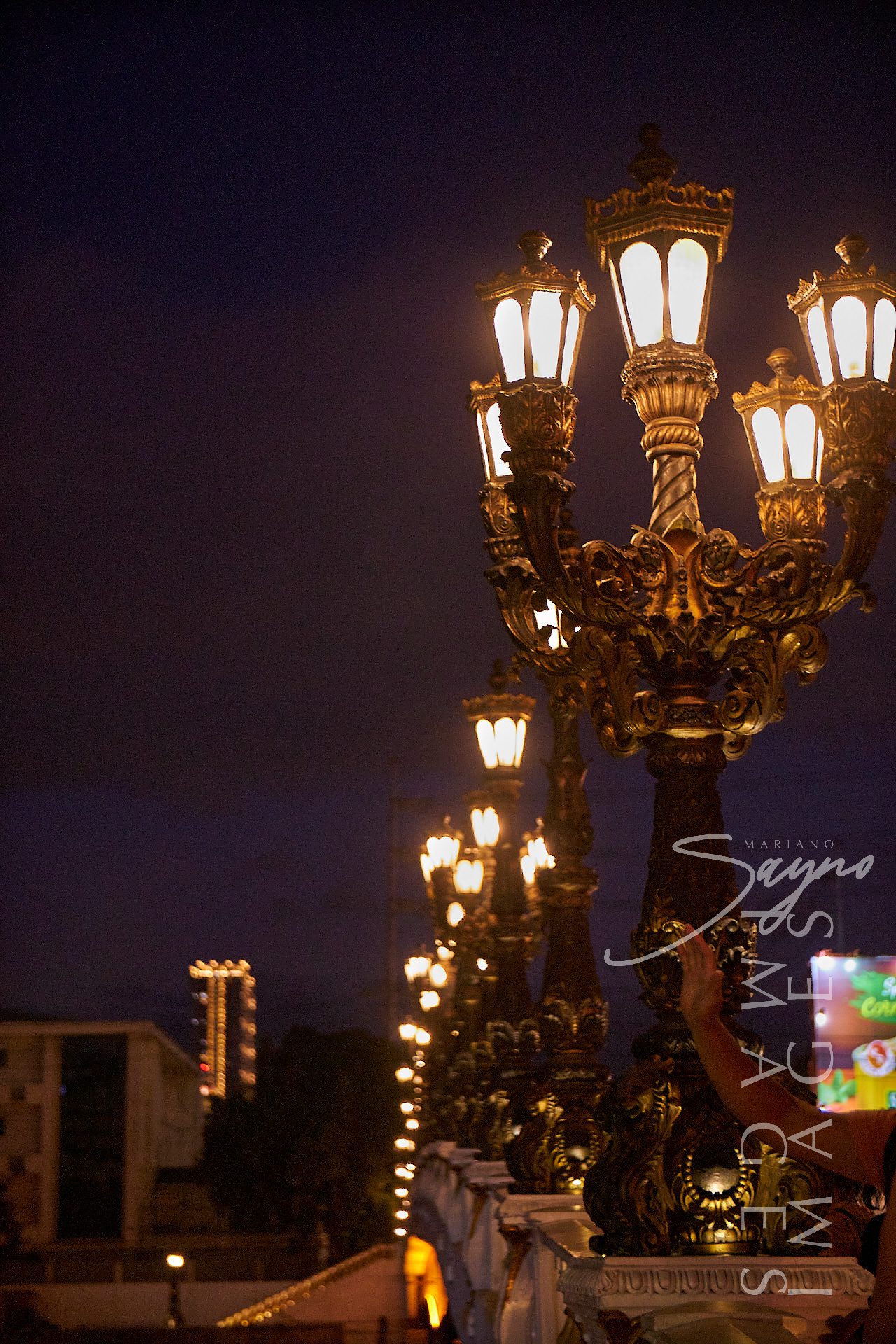 The Beauty of Jones Bridge: A Legacy of Resilience and Revival in ...