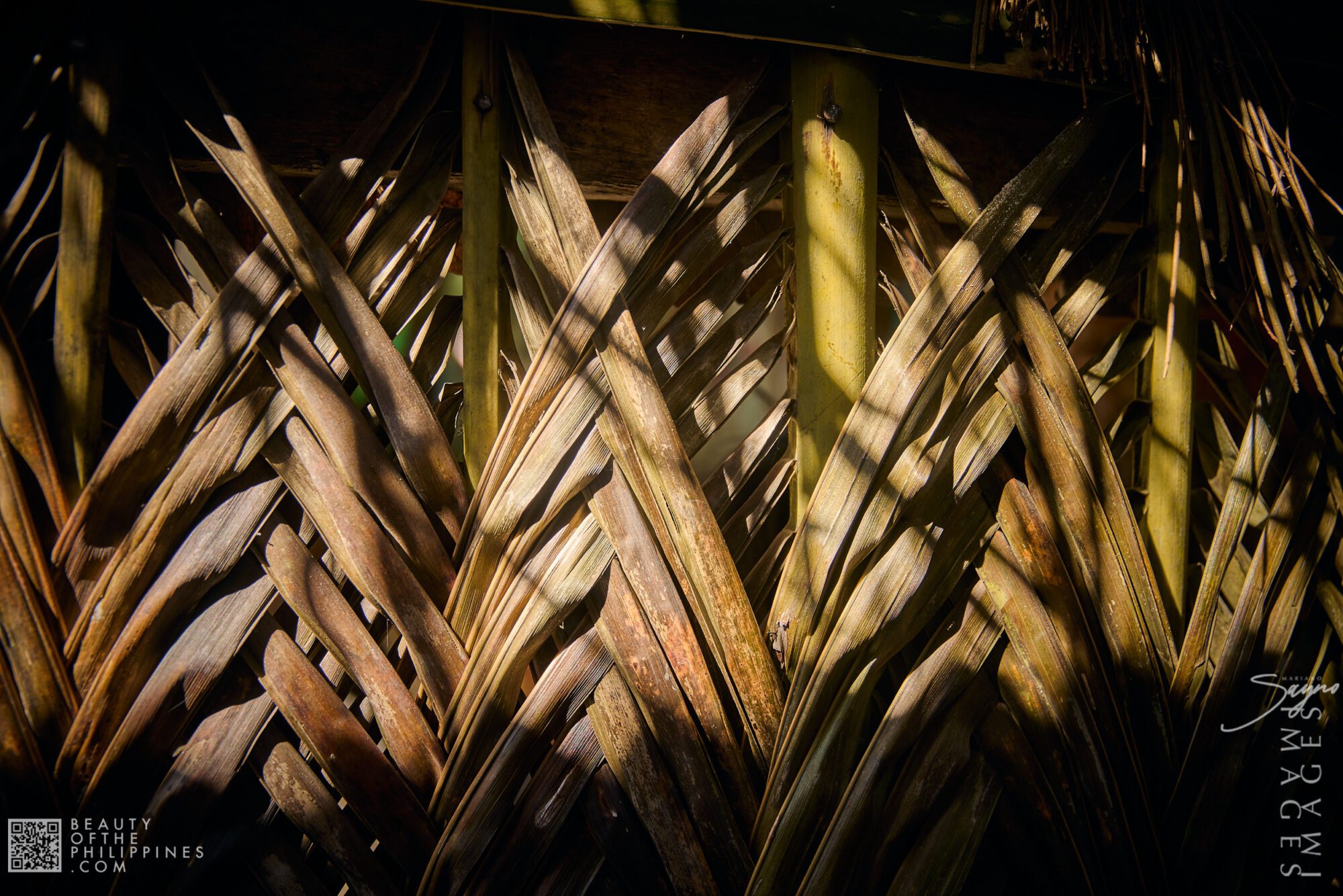 The Beauty of Pabasa ng Pasyon: A Heartfelt Holy Week in General Luna ...