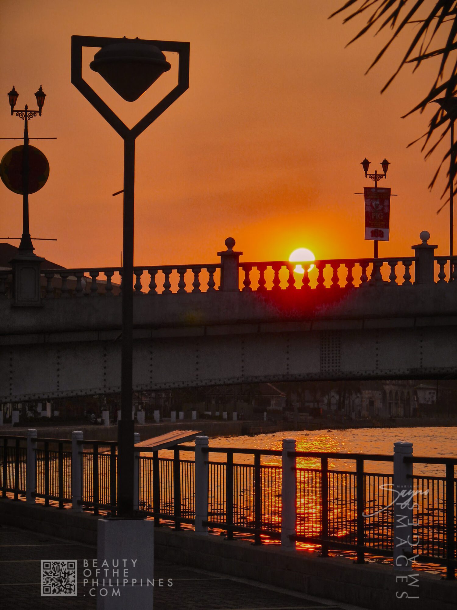 The Beauty of Jones Bridge: A Legacy of Resilience and Revival in ...