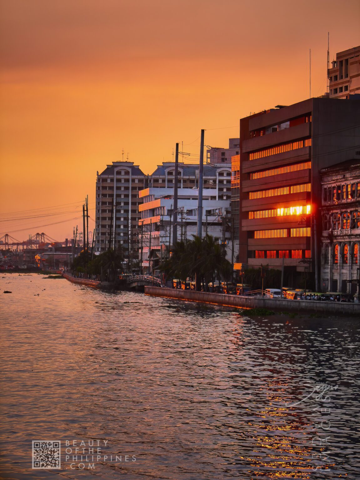 The Beauty of Jones Bridge: A Legacy of Resilience and Revival in ...