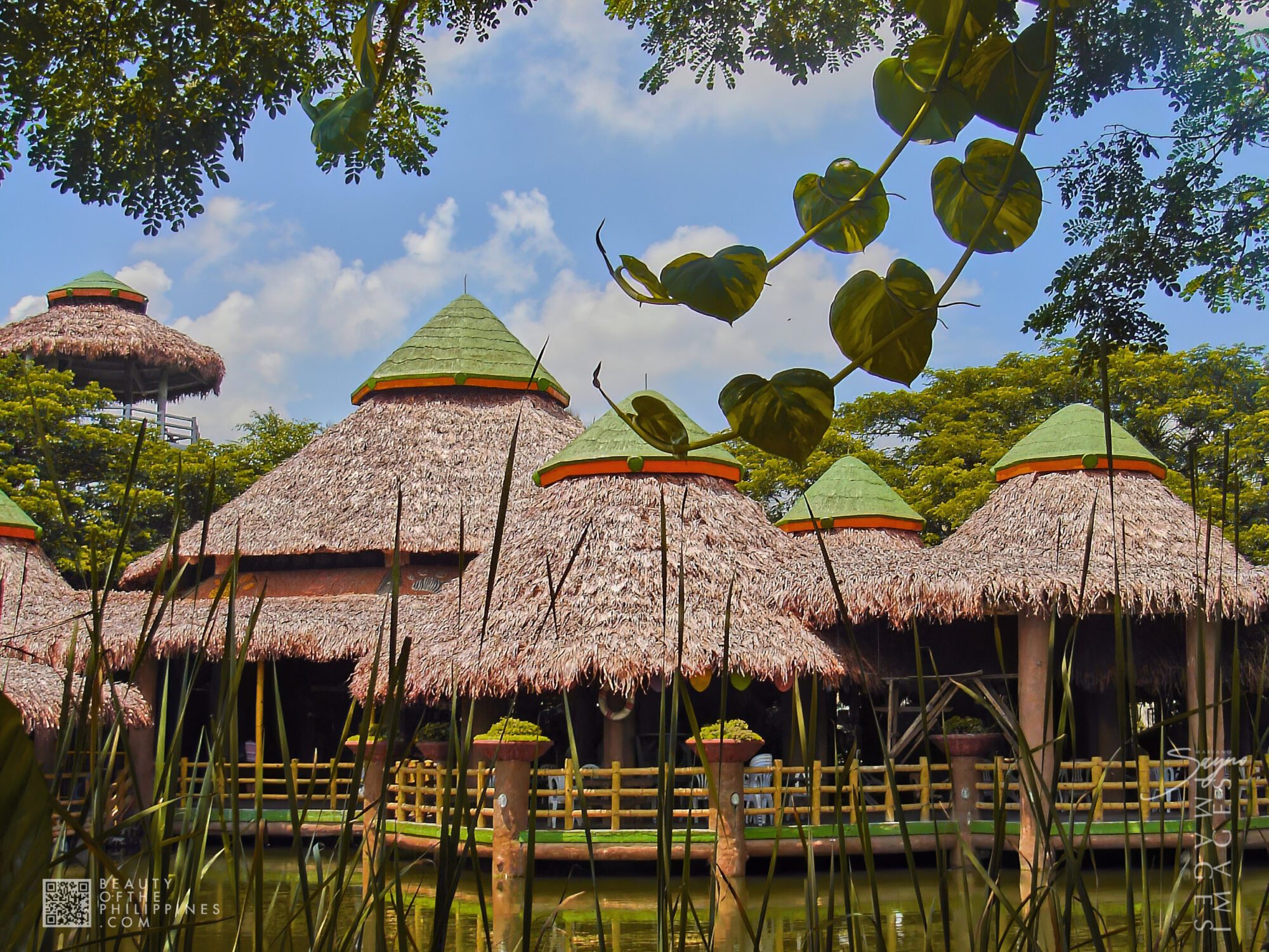 Avilon Zoo: A Wildlife Oasis in Rodriguez, Rizal | The Beauty of the ...