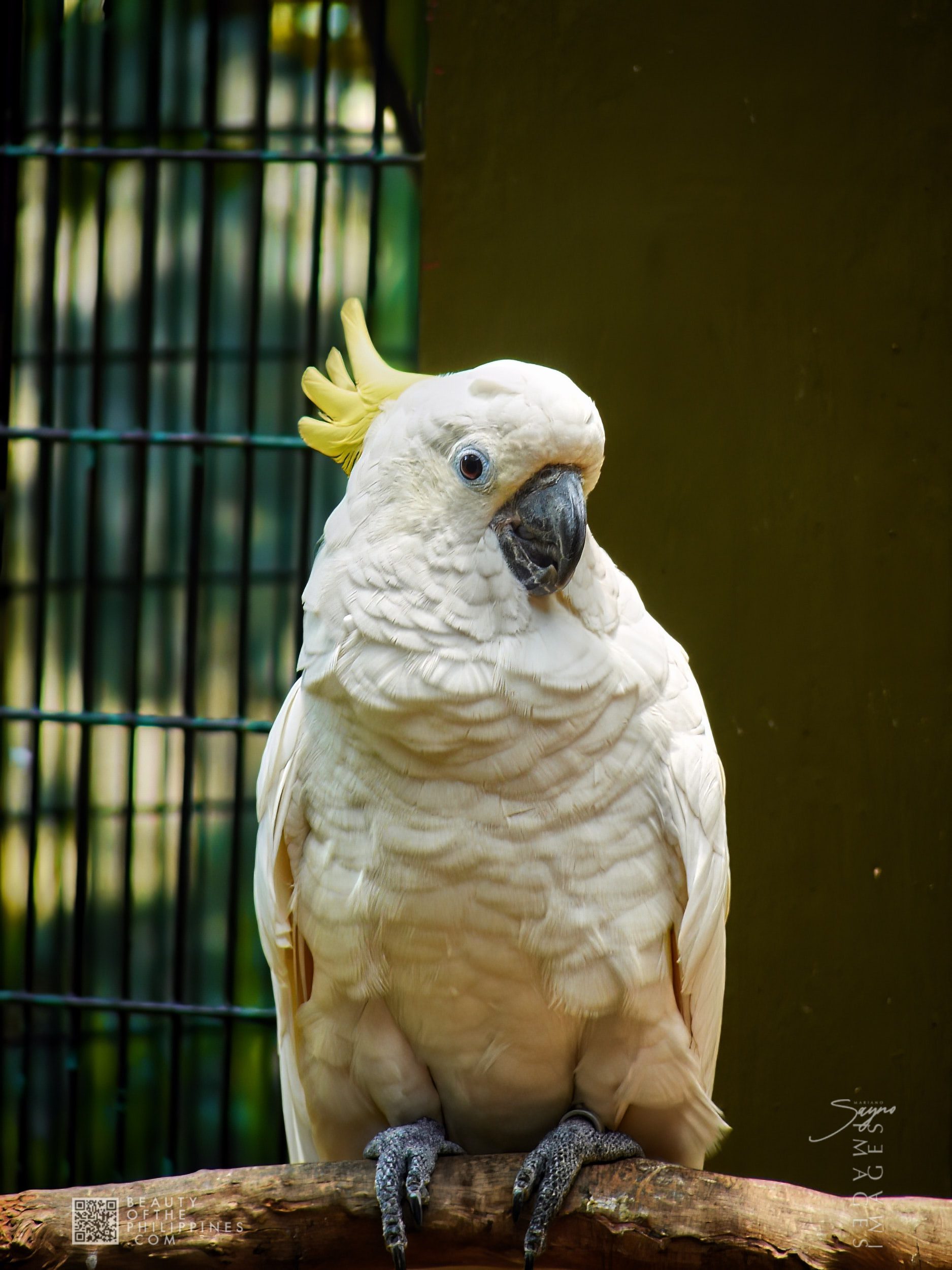 Avilon Zoo: A Wildlife Oasis in Rodriguez, Rizal | The Beauty of the ...