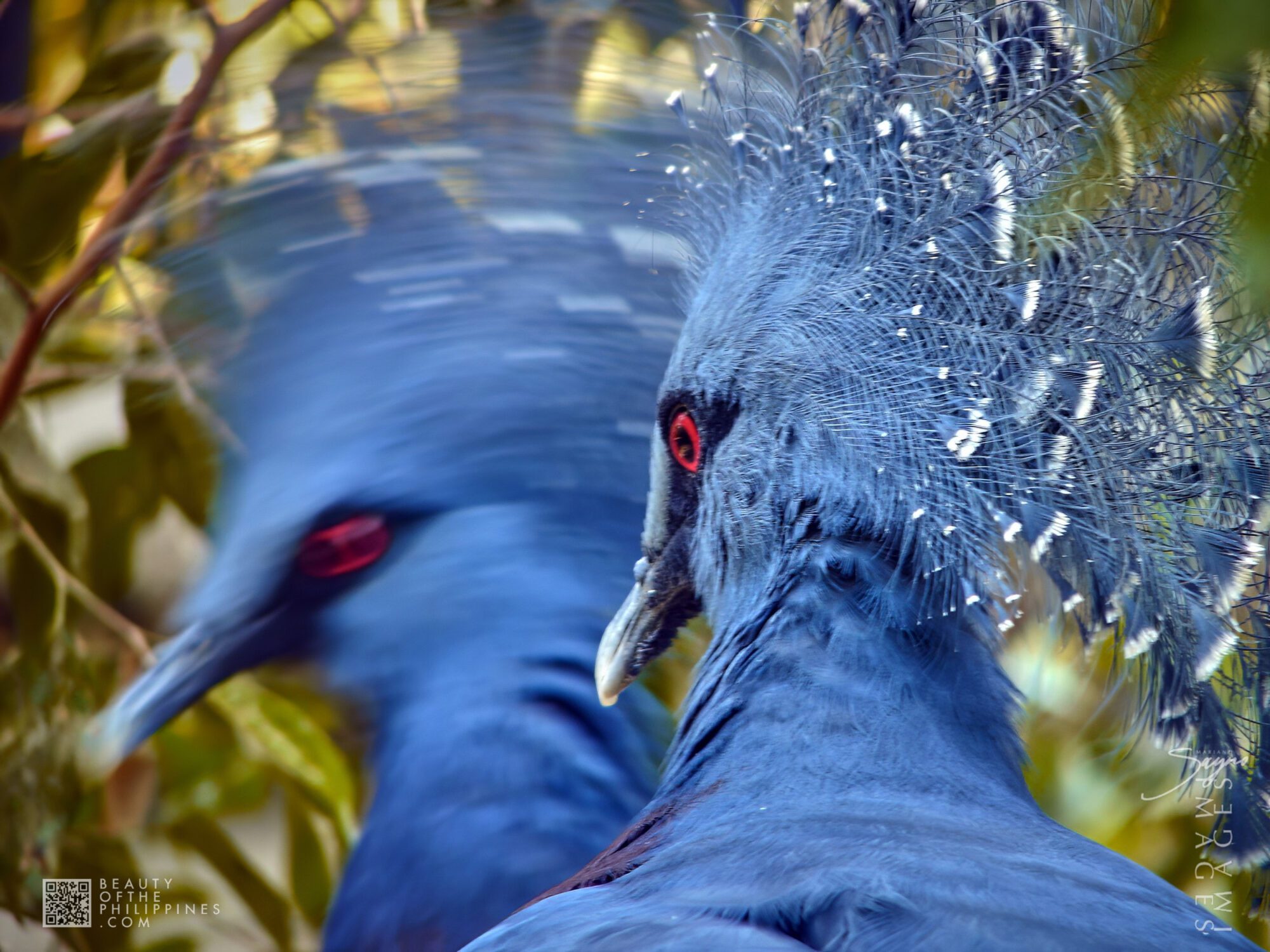 Avilon Zoo: A Wildlife Oasis in Rodriguez, Rizal | The Beauty of the ...