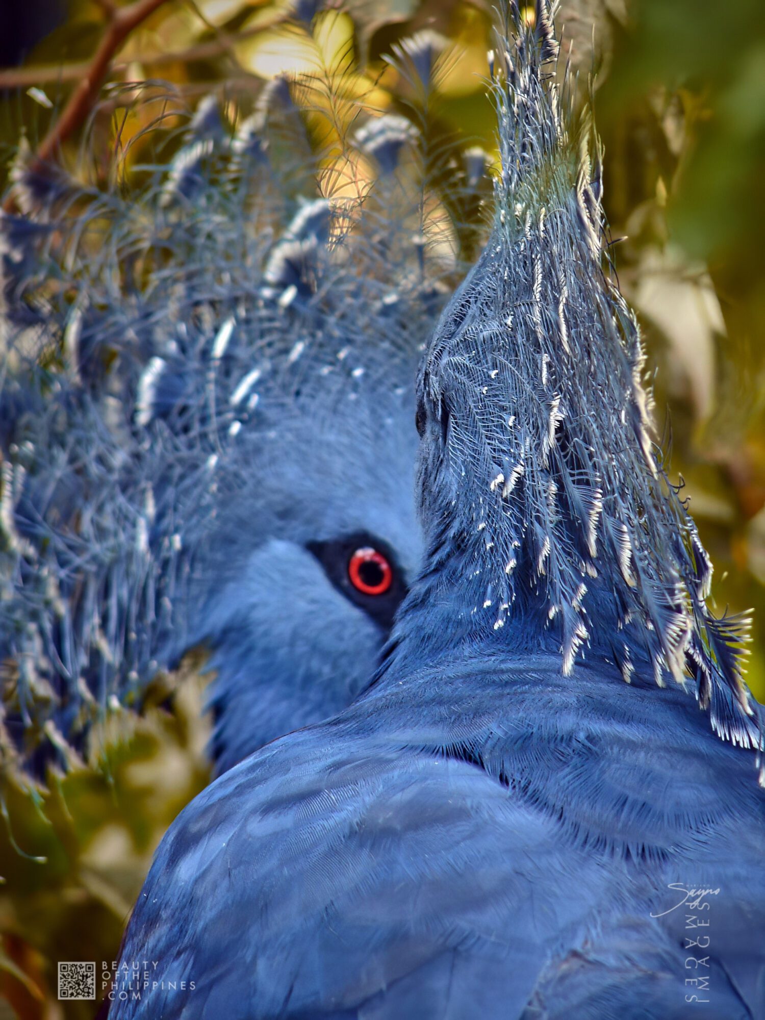 Avilon Zoo: A Wildlife Oasis in Rodriguez, Rizal | The Beauty of the ...
