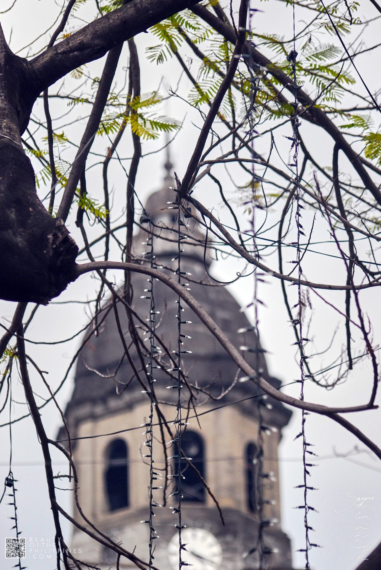 Manila Cathedral: The Mother Church of the Philippines | The Beauty of ...