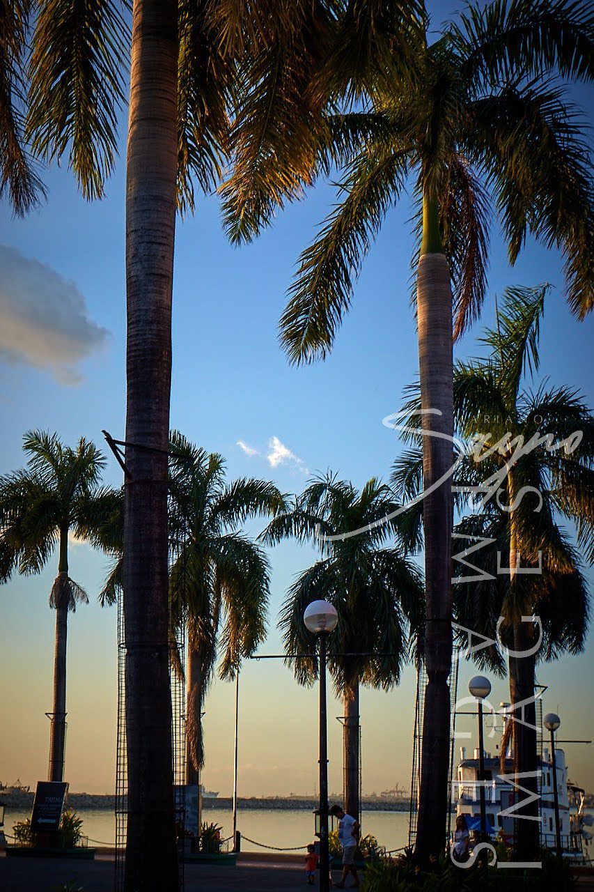 Manila Bay: Sunset, History, and City Life Along the Coast | The Beauty ...