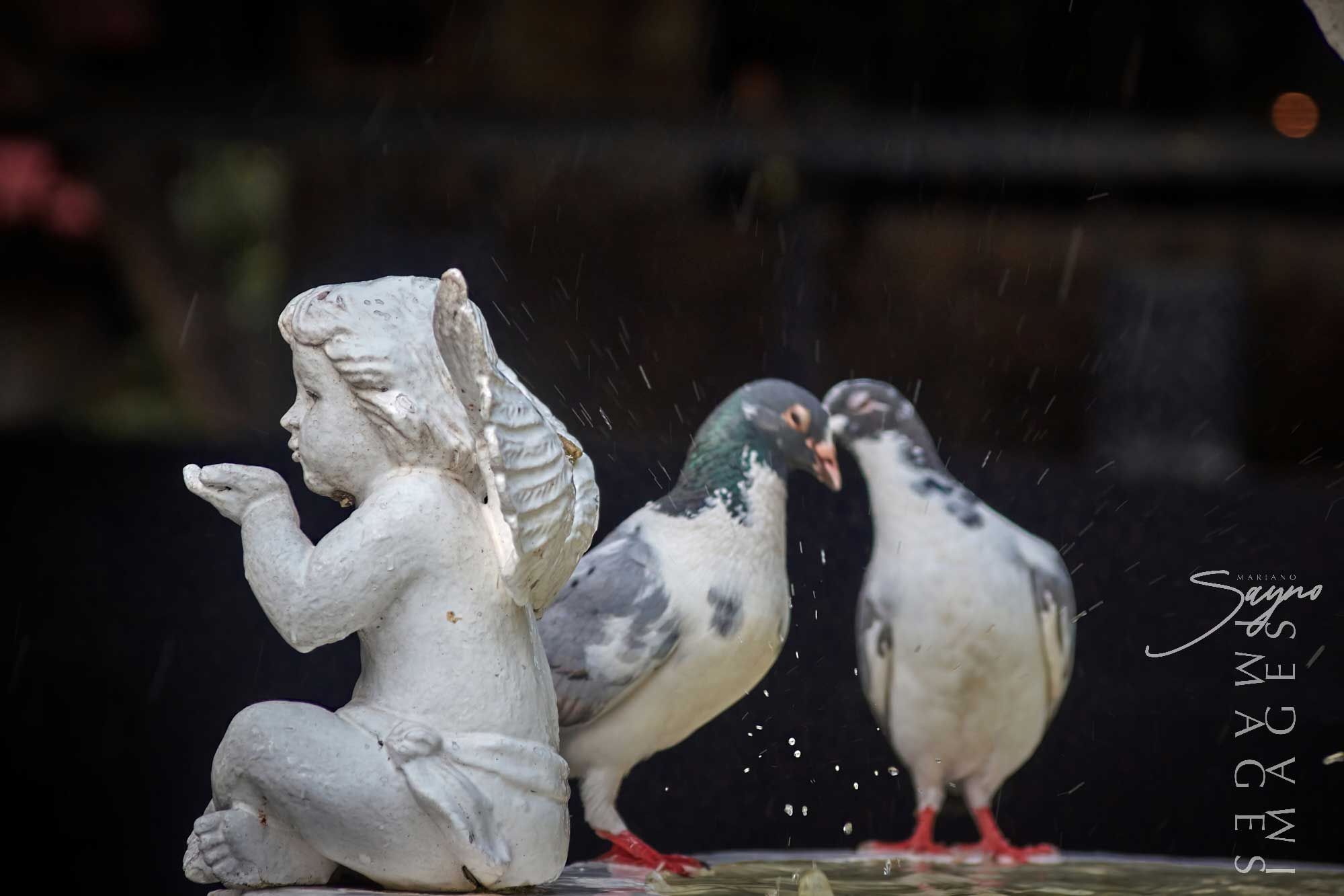 Padre Pio Chapel: The Sacred Haven in Quezon City | The Beauty of the Philippines by Mariano Sayno