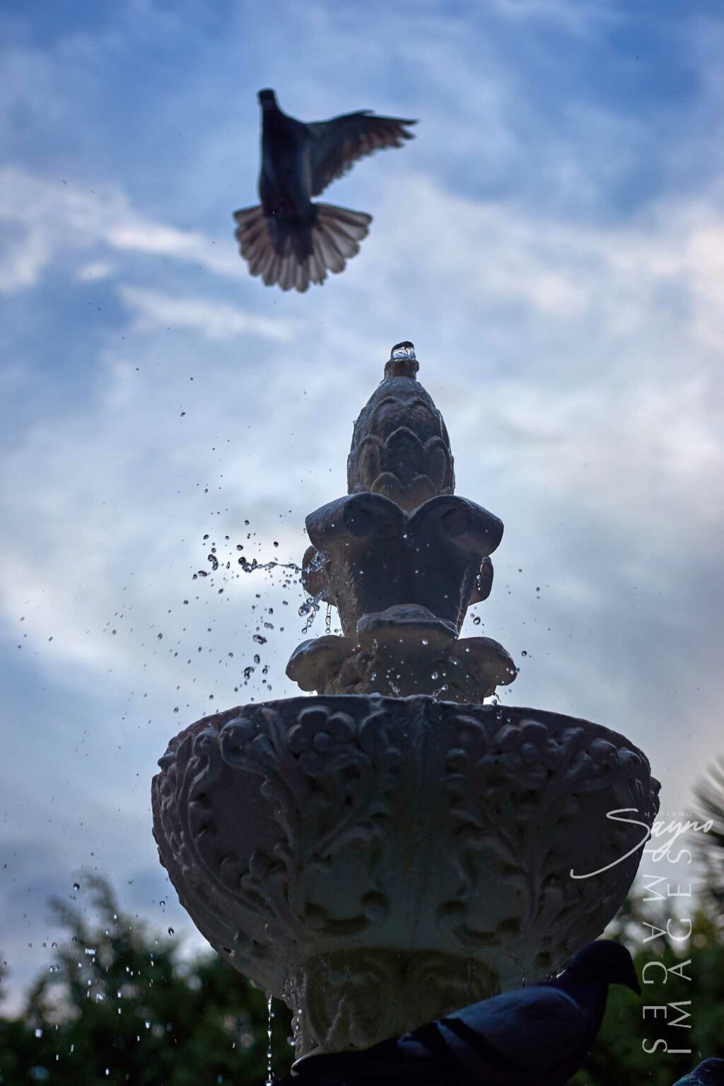 Padre Pio Chapel: The Sacred Haven in Quezon City | The Beauty of the ...