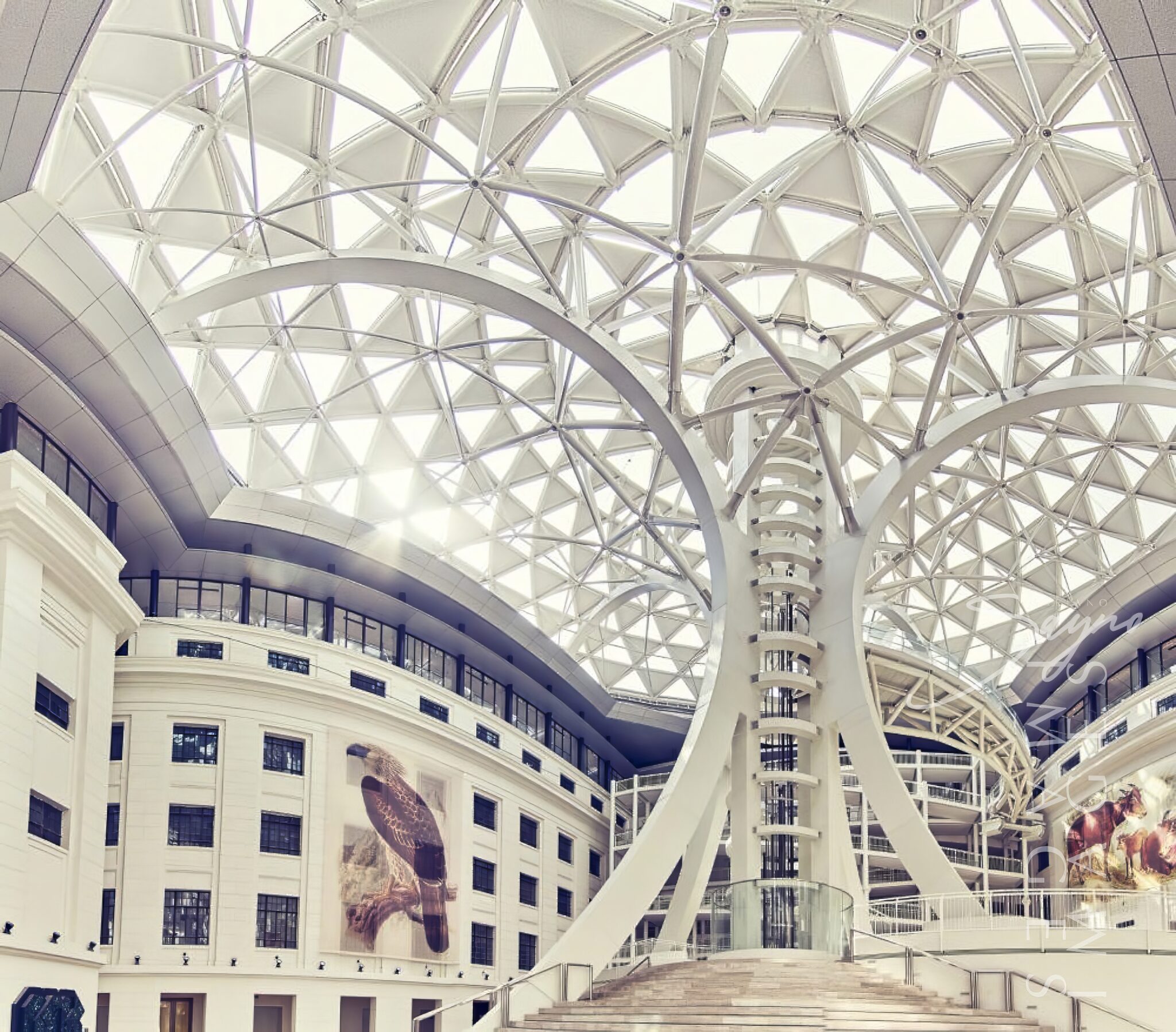 National Museum of Natural History: Unveiling the Rich Biological and ...