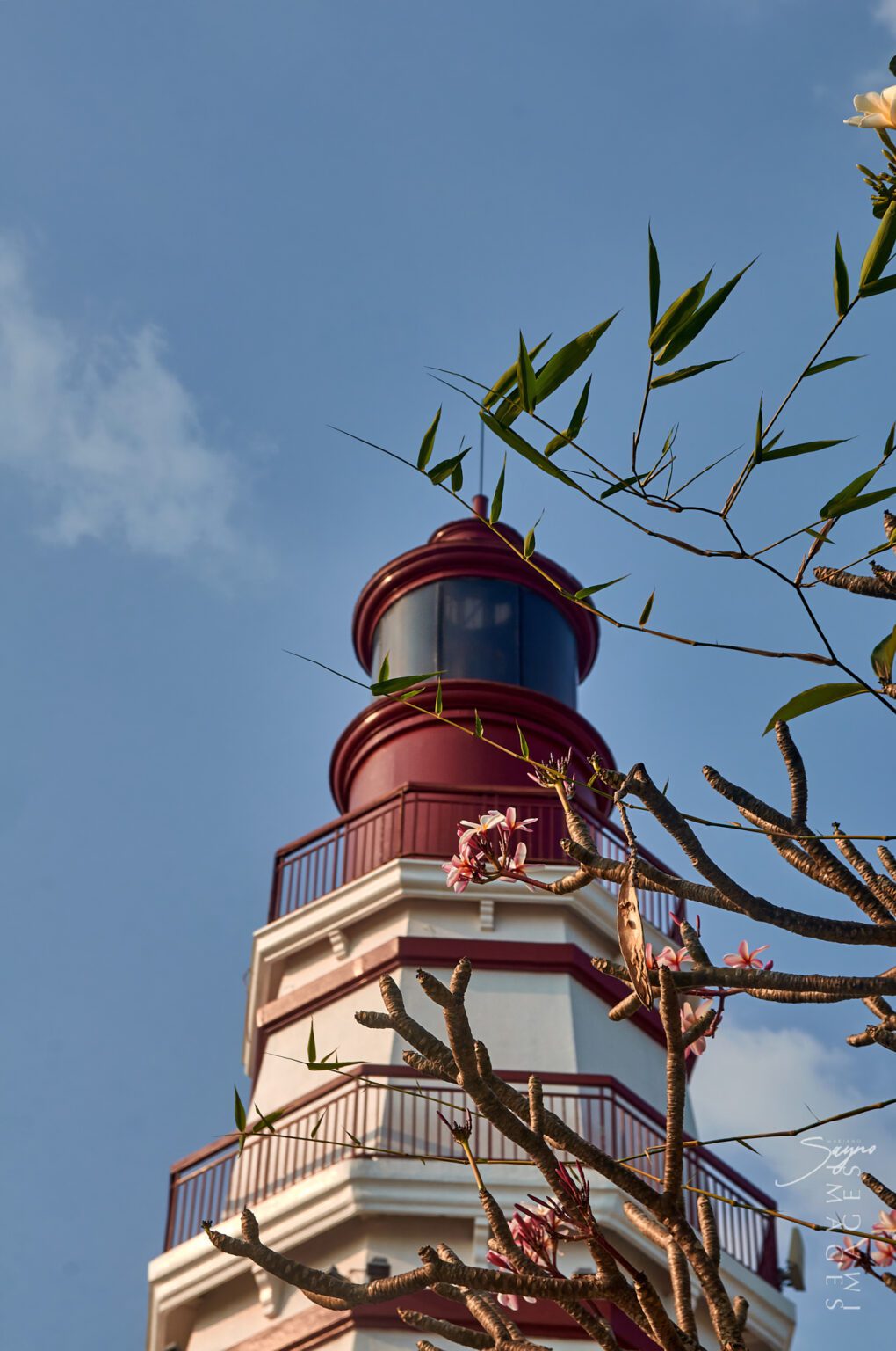 The Lighthouse Marina Resort: Coastal Charm and Tranquil Luxury on ...