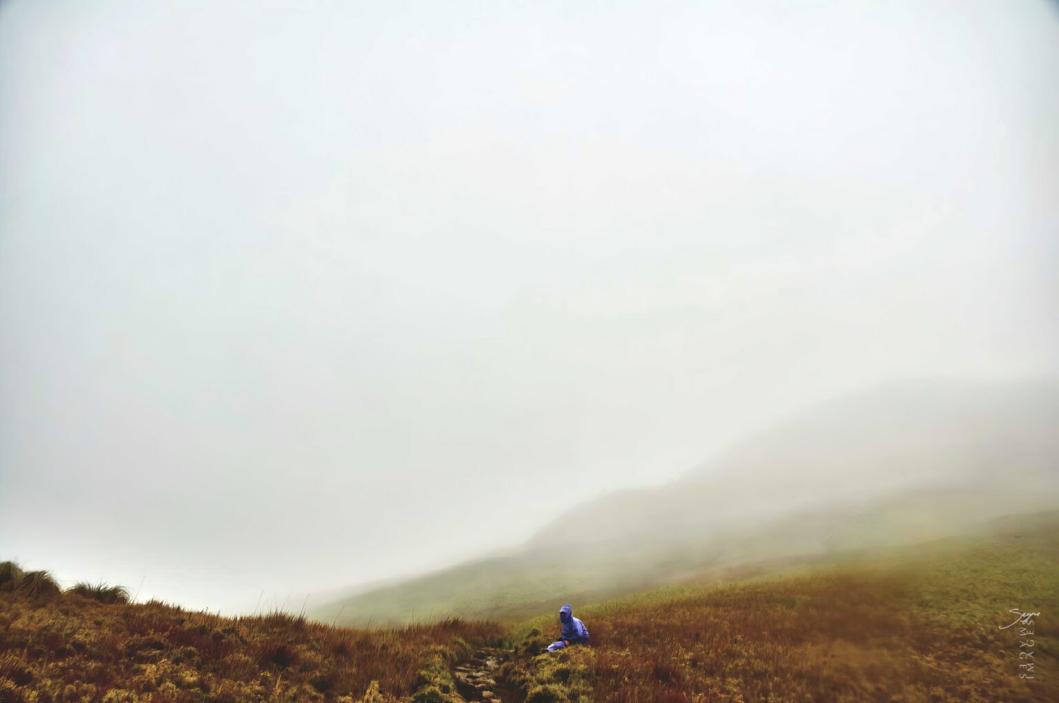 Mount Pulag: Exploring Luzon’s Highest Peak and Natural Wonders | The ...