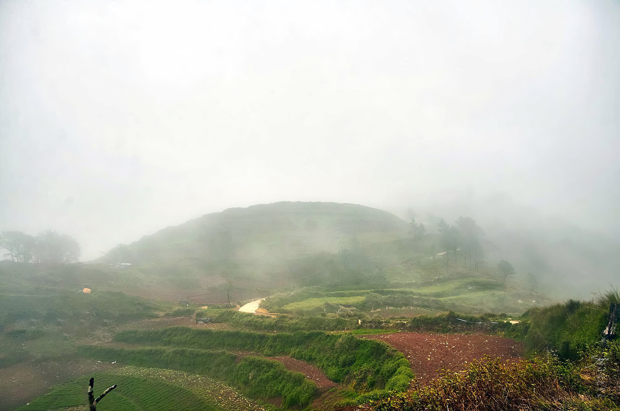 Mount Pulag: Exploring Luzon’s Highest Peak and Natural Wonders | The ...