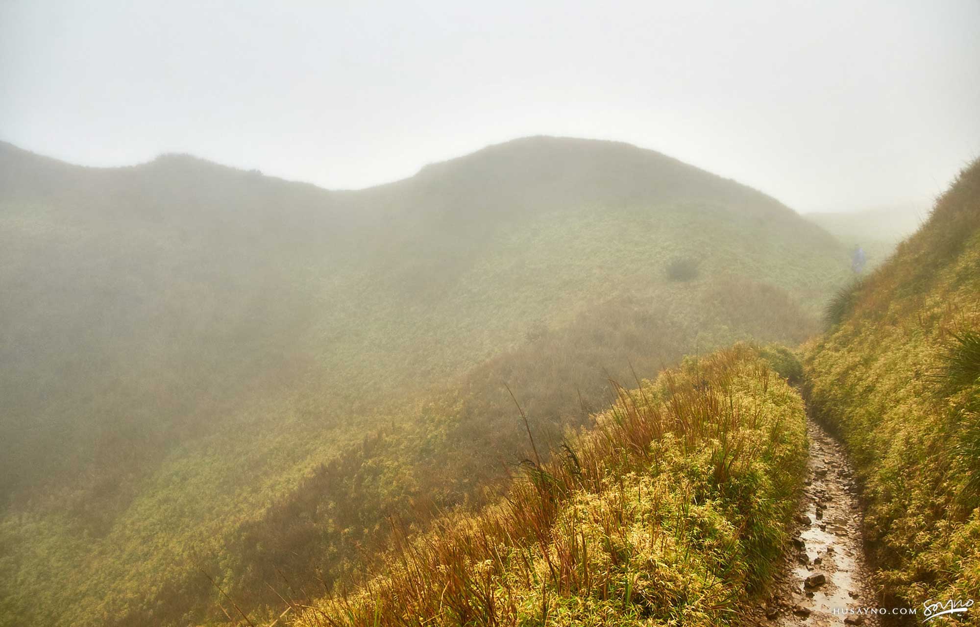 Mount Pulag: Exploring Luzon’s Highest Peak and Natural Wonders | The ...