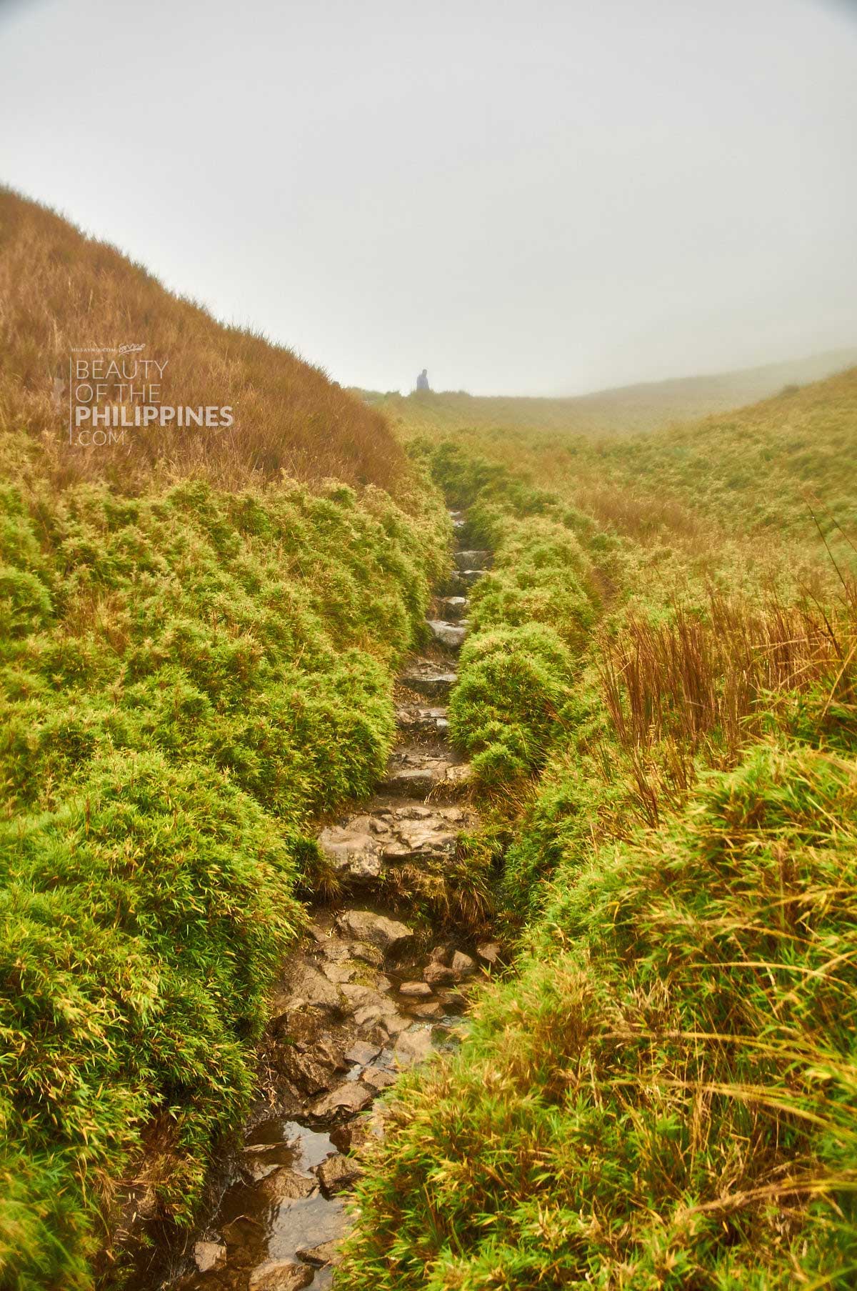 Mount Pulag: Exploring Luzon’s Highest Peak and Natural Wonders | The ...