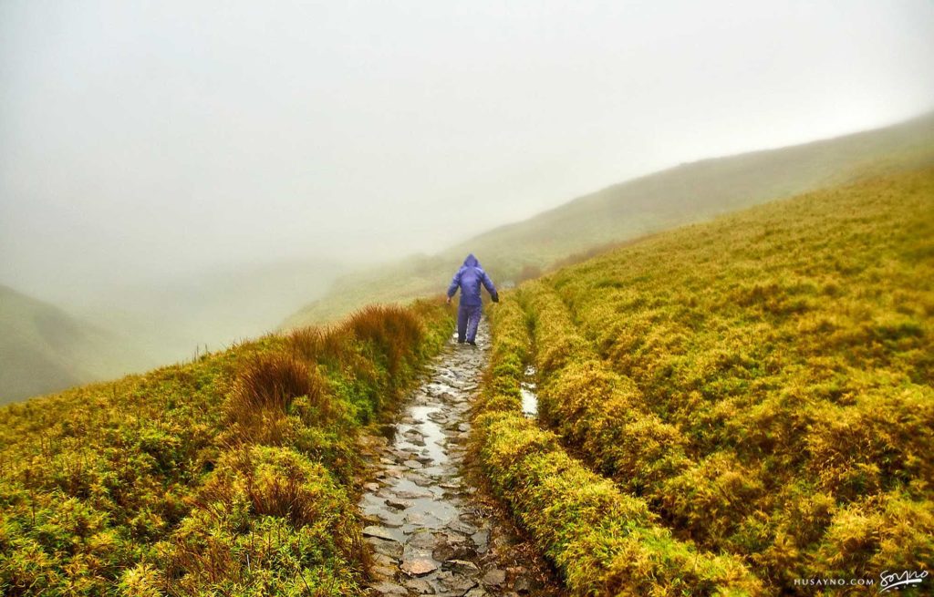 Mount Pulag: Exploring Luzon’s Highest Peak and Natural Wonders | The ...