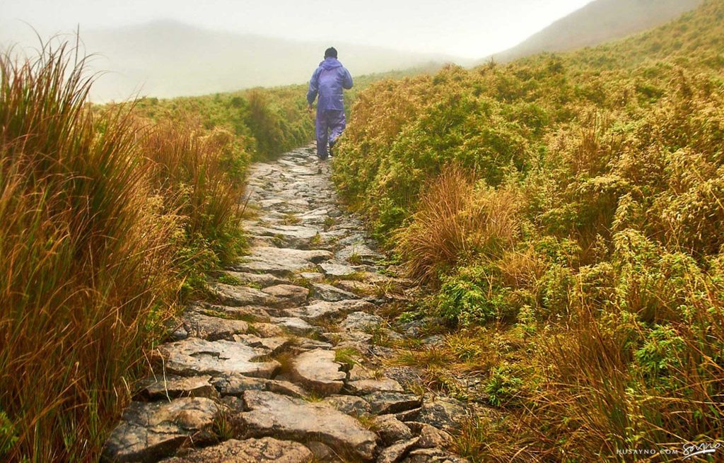 Mount Pulag: Exploring Luzon’s Highest Peak and Natural Wonders | The ...