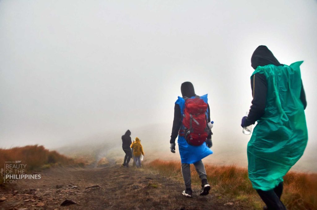 Mount Pulag: Exploring Luzon’s Highest Peak and Natural Wonders | The ...