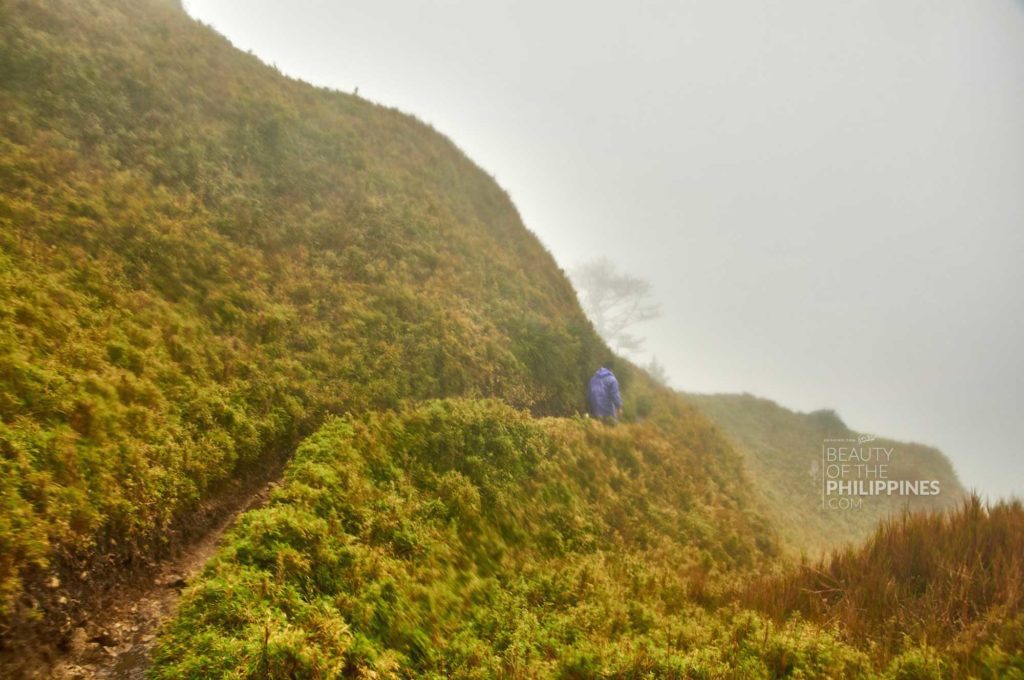 Mount Pulag: Exploring Luzon’s Highest Peak and Natural Wonders | The ...