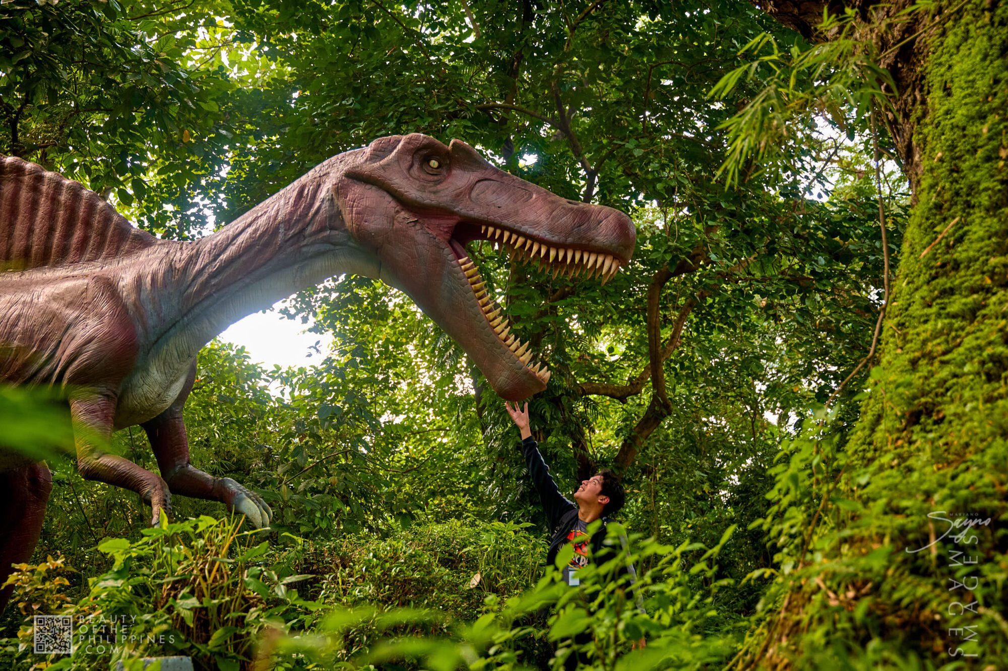 Dinosaurs Island Clark: A Family Stop Worth Noting | The Beauty of the ...