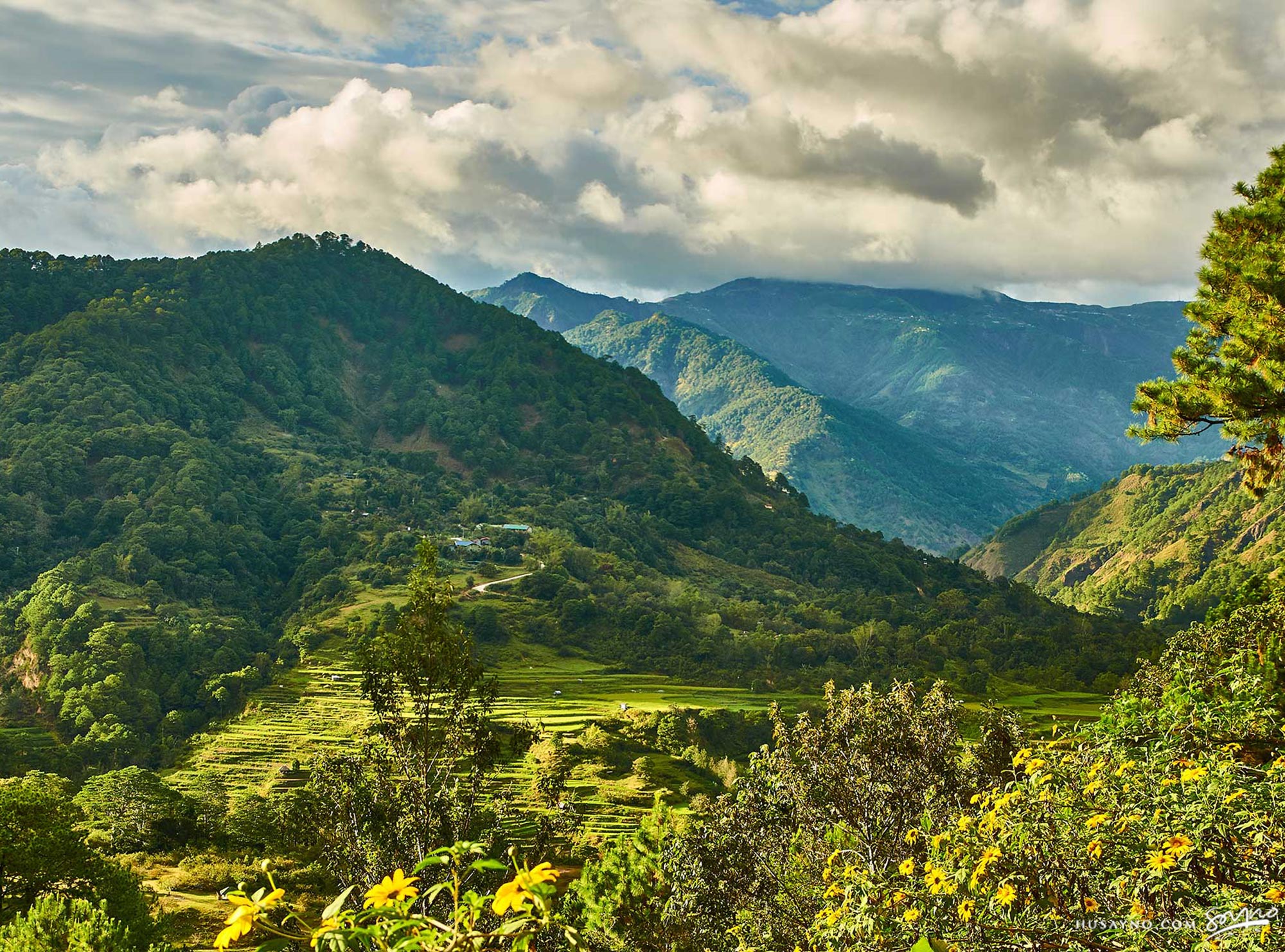 Sakuting Festival: Celebrating Agricultural Richness and Cultural Unity ...