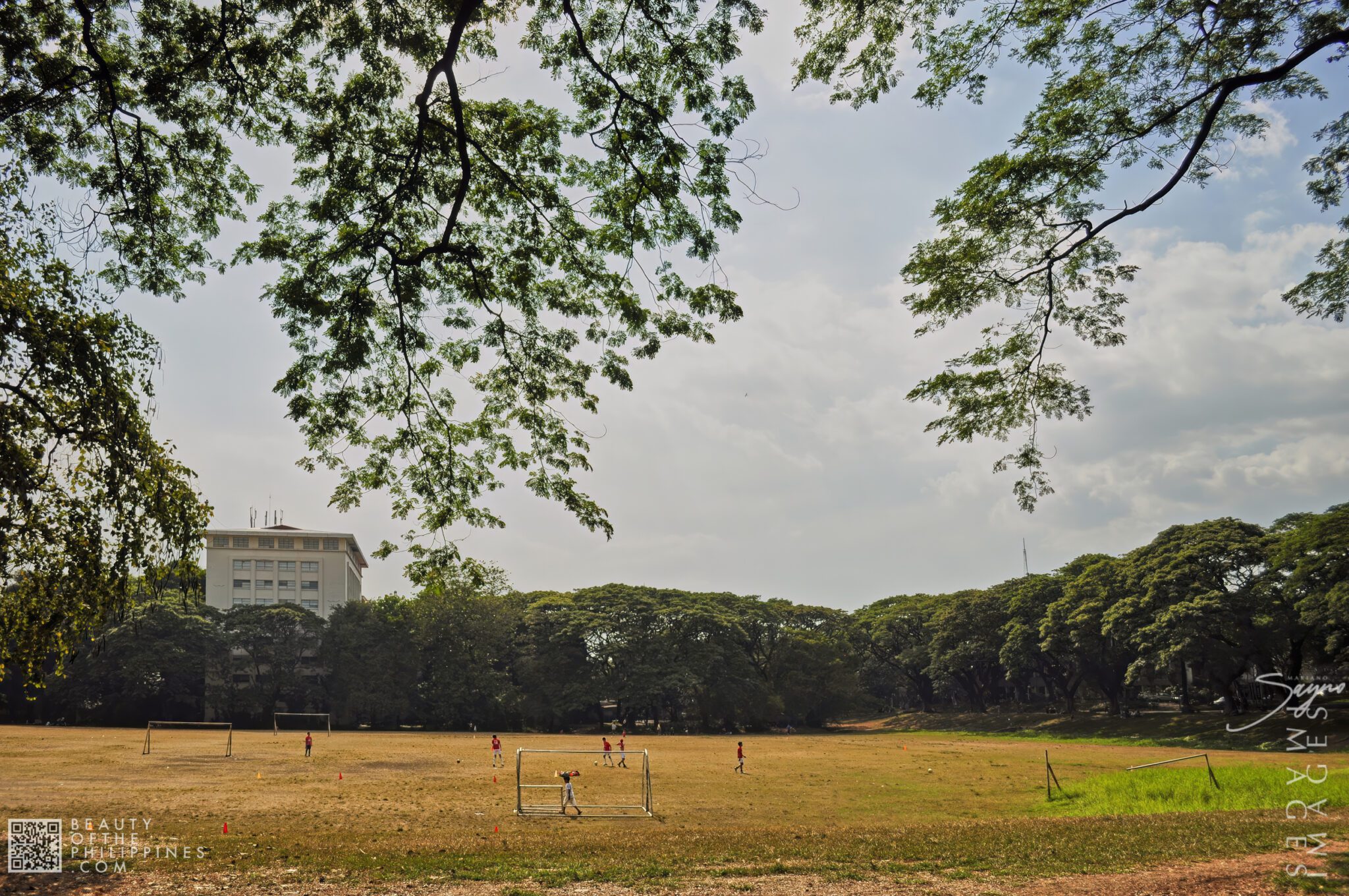 UP Diliman: A Campus of History and Culture | The Beauty of the ...