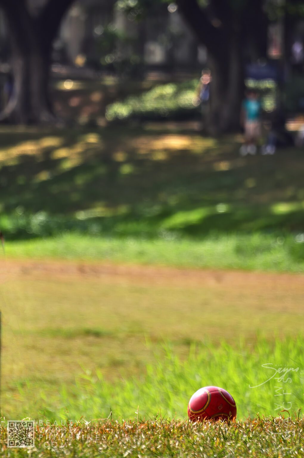 UP Diliman: A Campus of History and Culture | The Beauty of the ...
