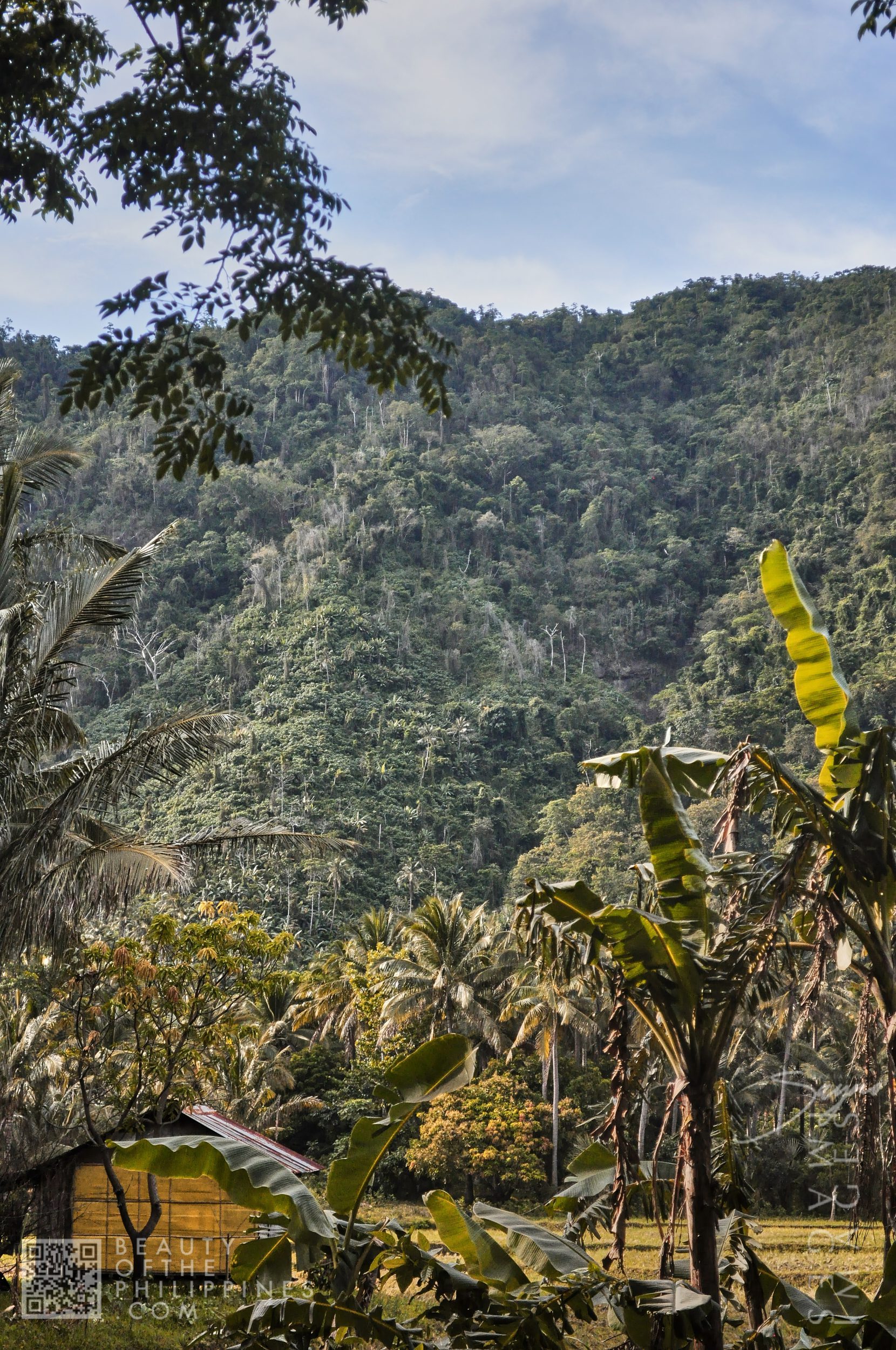 Quezon Zigzag Road: The Wild Ride Through Bitukang Manok | The Beauty ...