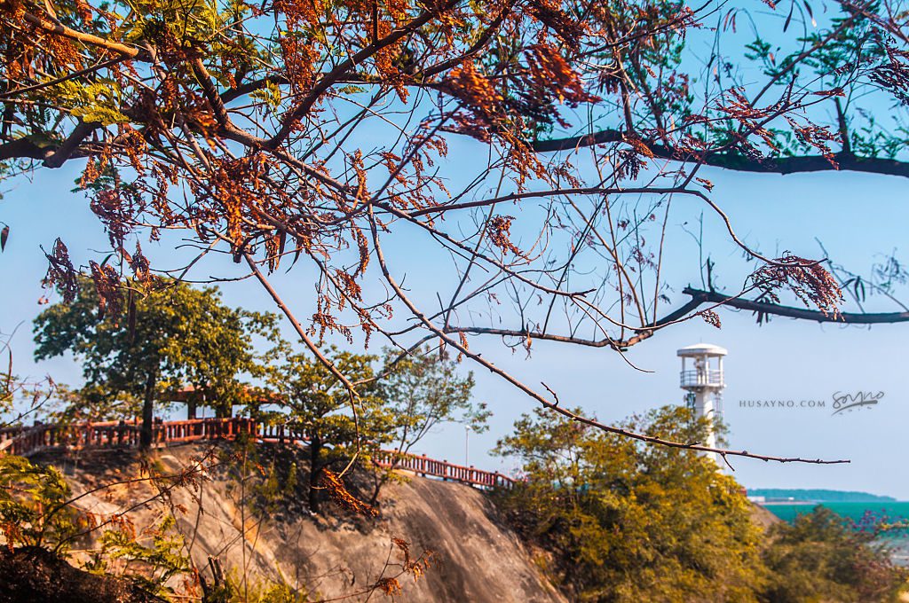 Subic Bay: A Fusion of History, Adventure, and Coastal Charm | The ...