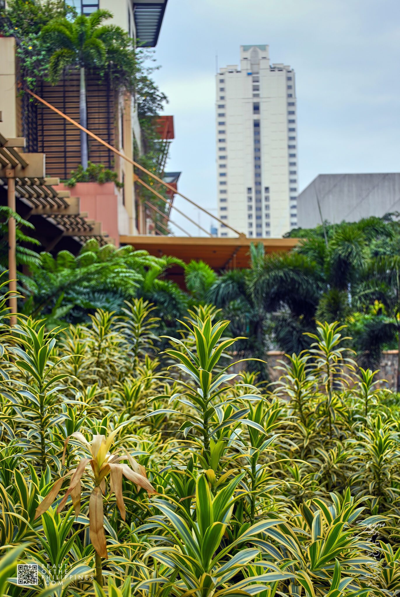 Greenbelt: Makati’s Urban Oasis of Shopping and Culture | The Beauty of ...
