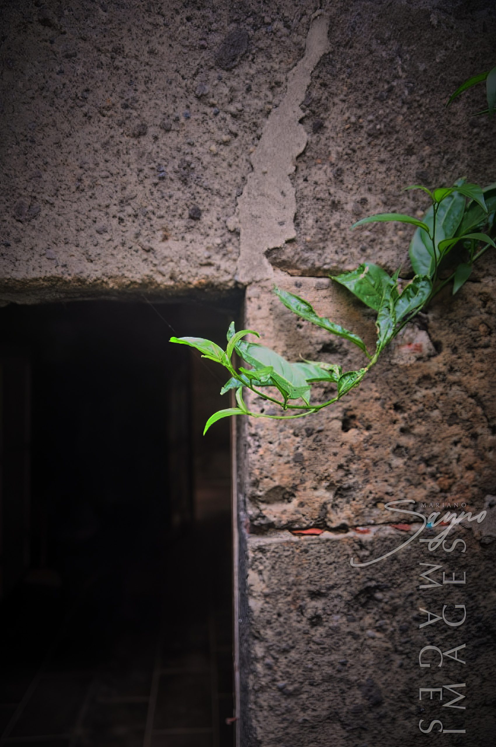 Silang Church: Discovering the Soul of Cavite in Timeless Silang | The ...