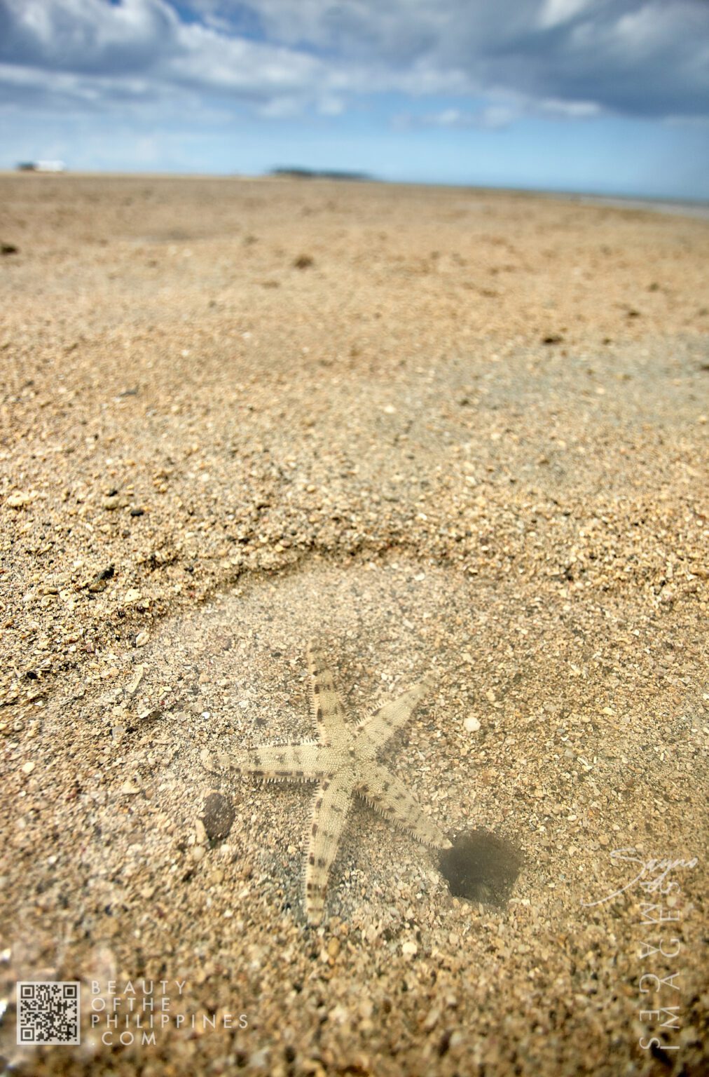 Pulong Pasig Sandbar: Walking the Endless White Sands of Calauag | The ...