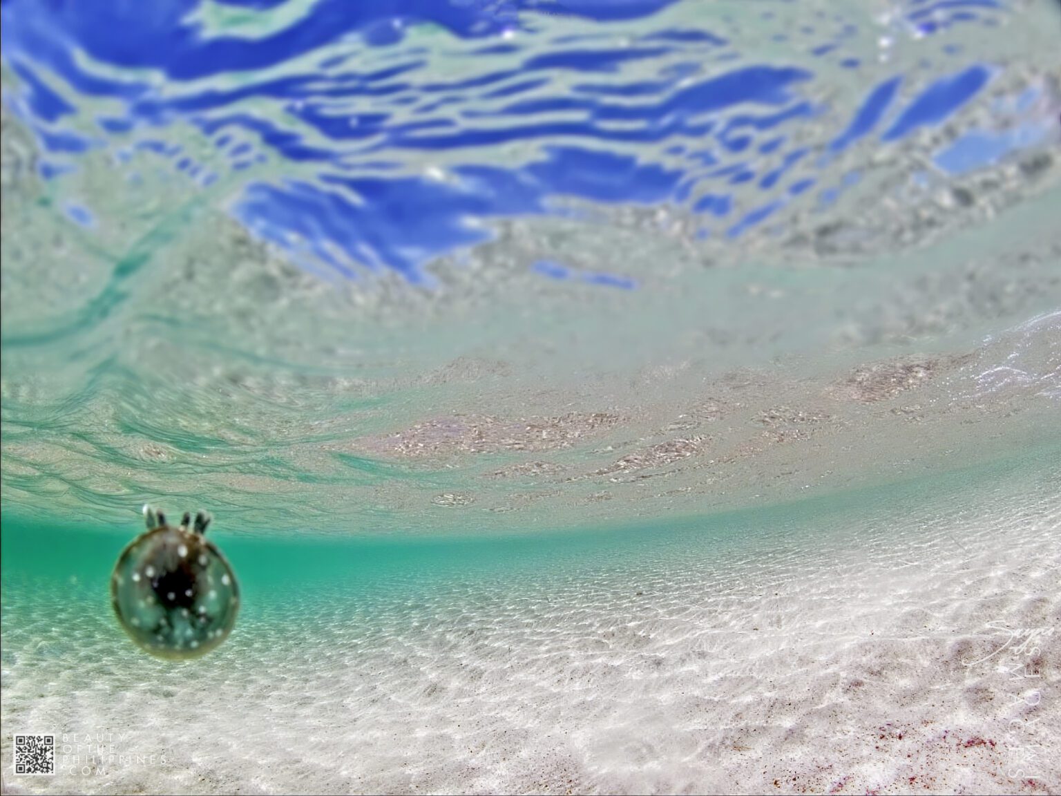 Pulong Pasig Sandbar: Walking the Endless White Sands of Calauag | The ...