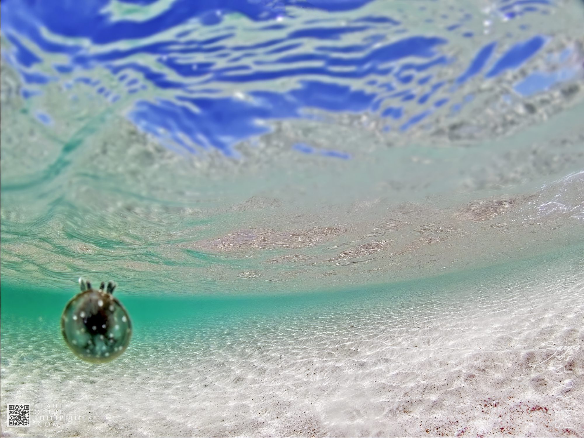 Pulong Pasig Sandbar: The Hidden Sandbar Paradise of Calauag Quezon ...