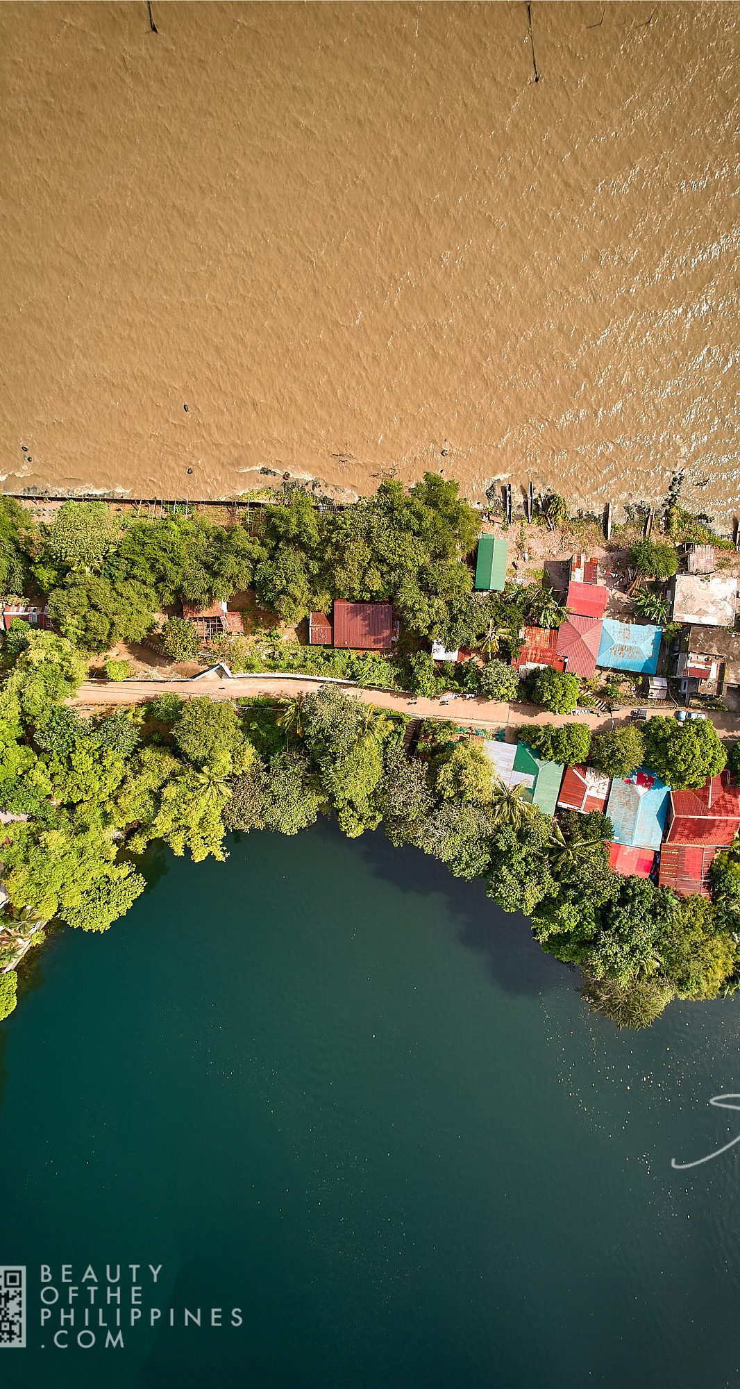 Alligator Lake: Tadlac’s Quiet Crater of Laguna | The Beauty of the ...