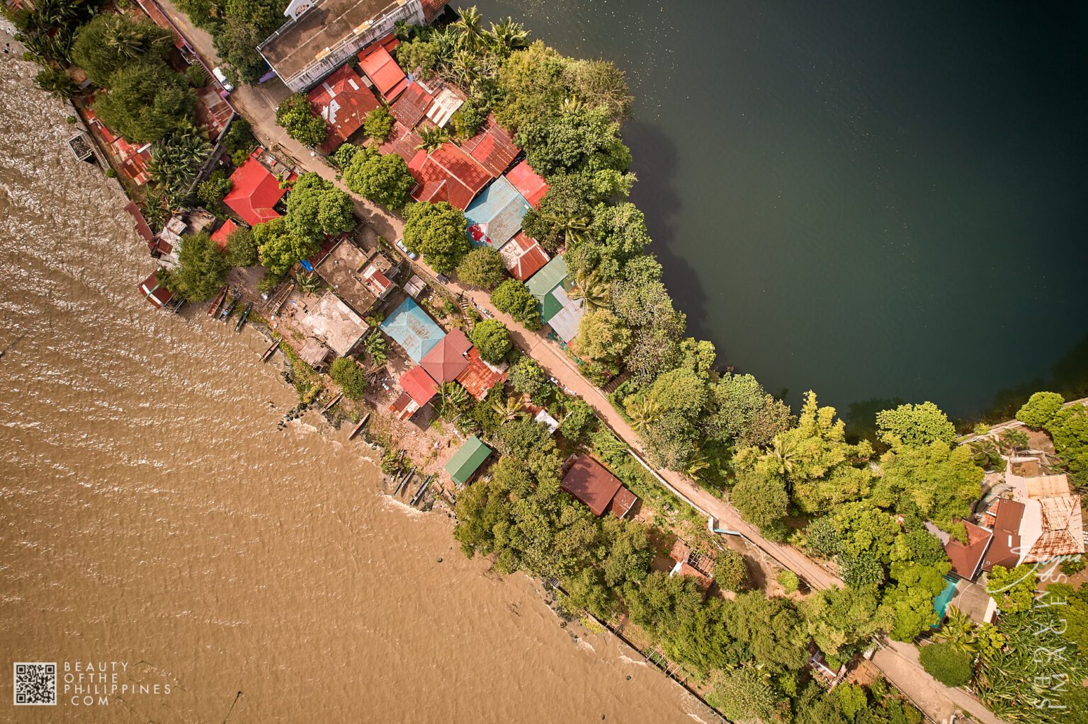Alligator Lake: Tadlac’s Quiet Crater of Laguna | The Beauty of the ...