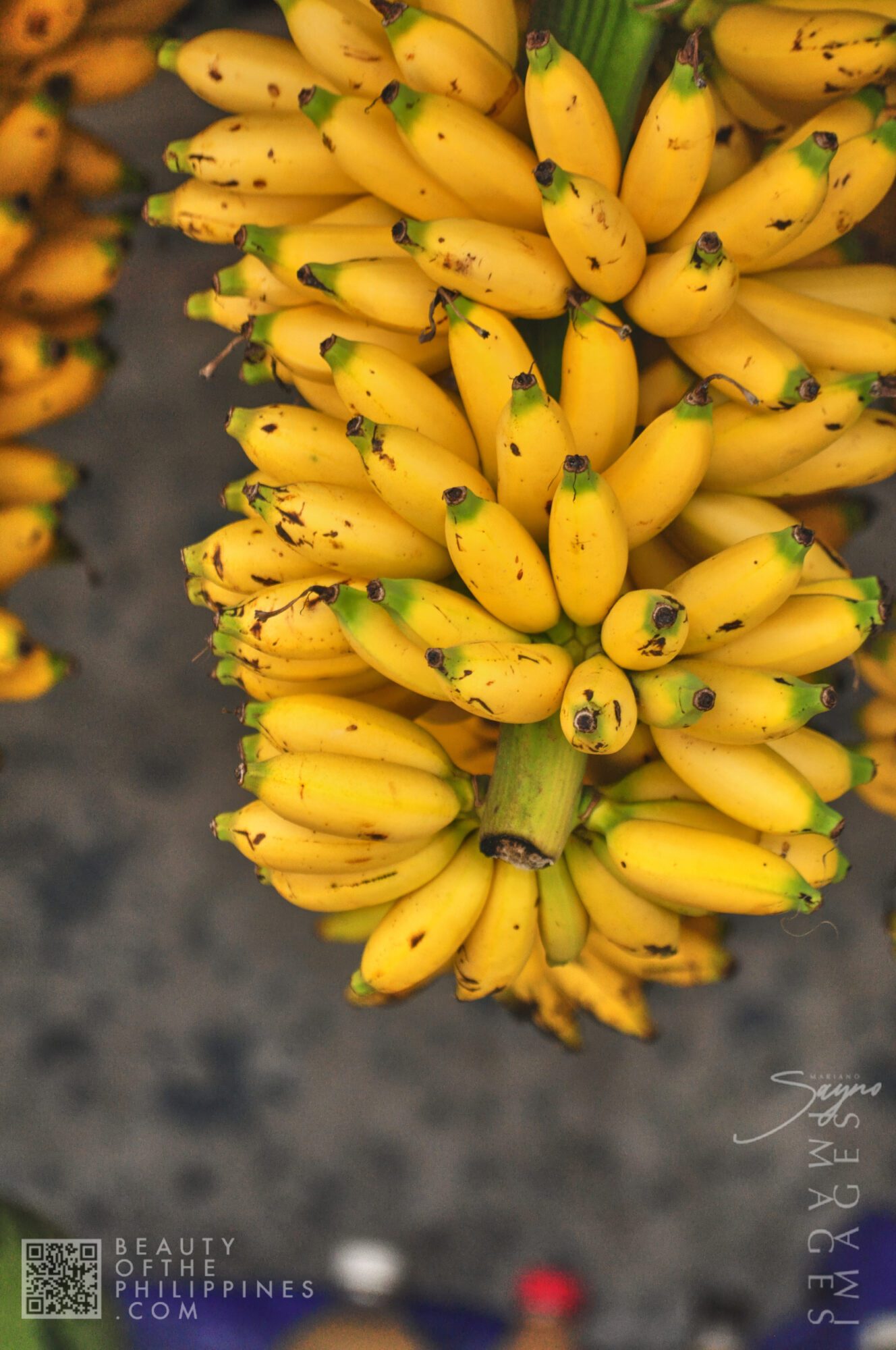 Tagaytay City: A Breathtaking Escape in the South | The Beauty of the ...