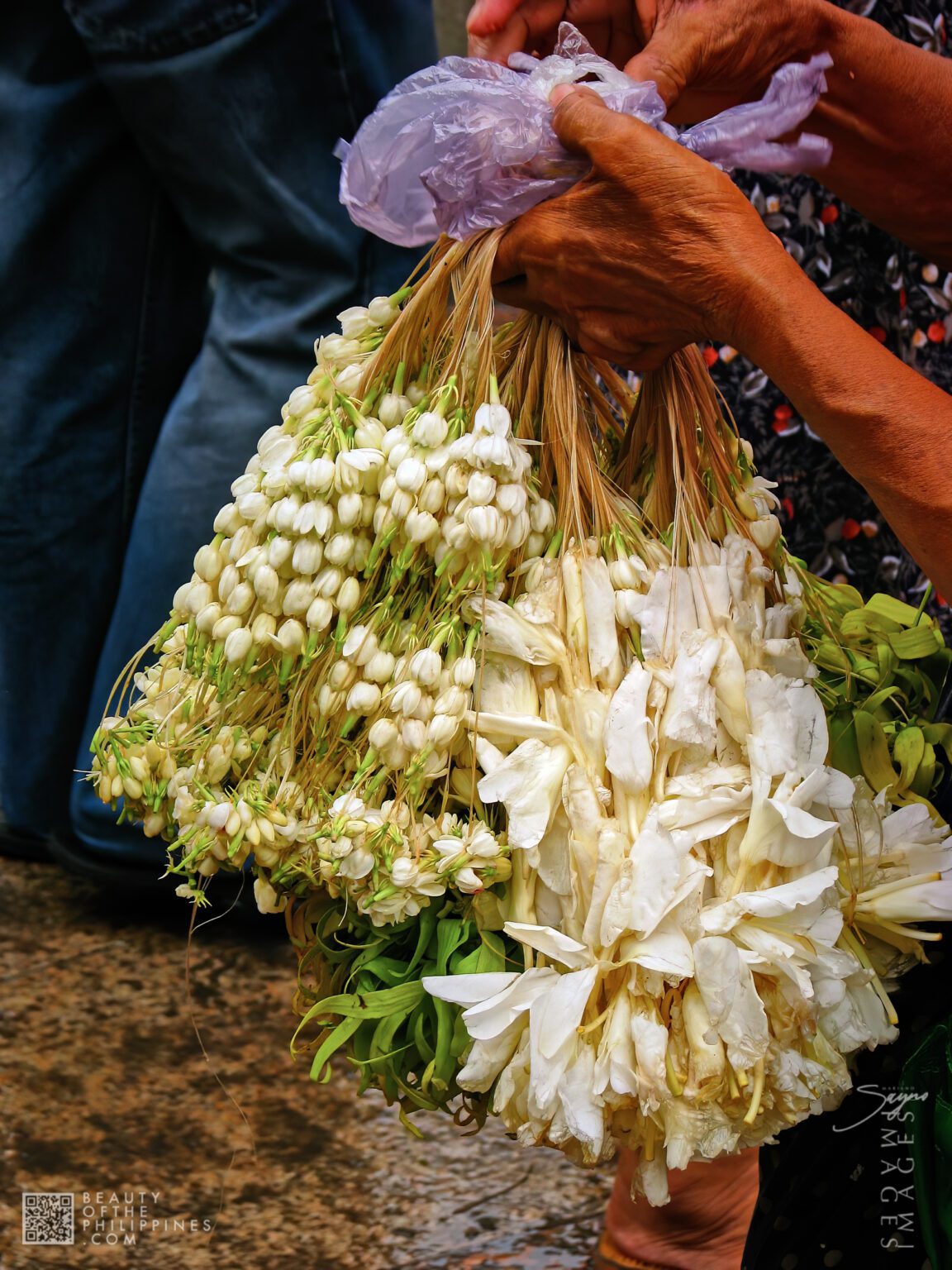 Quiapo Church: Manila’s Timeless Beacon of Faith | The Beauty of the ...